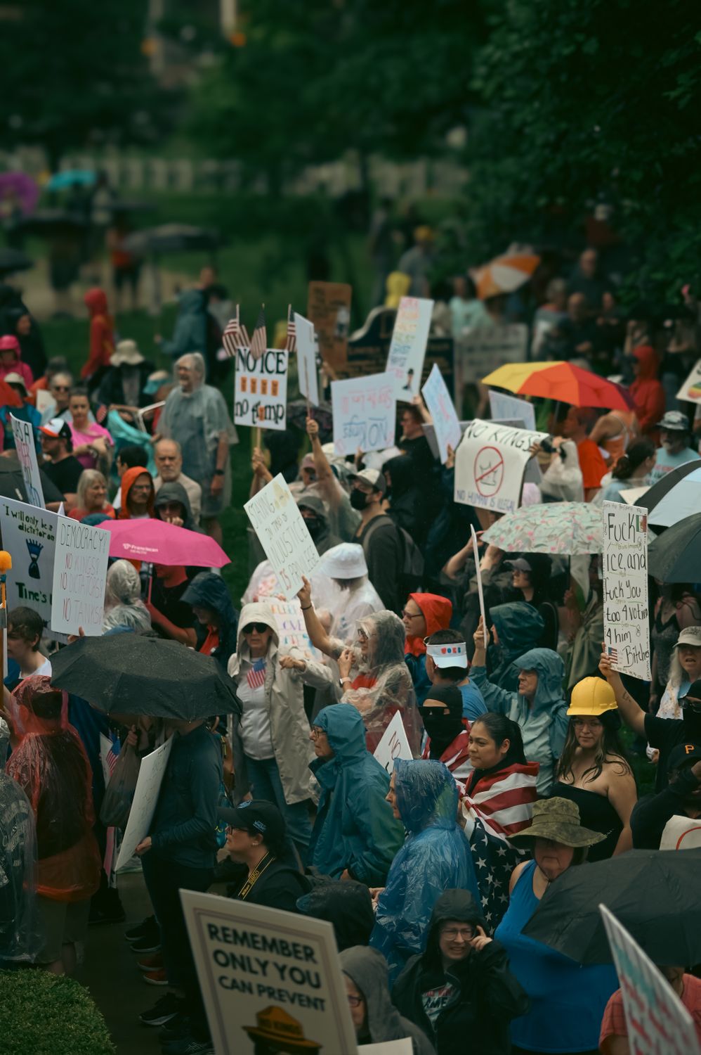 Vibrant Protest with Engaged Crowd and Signs · Free Stock Photo