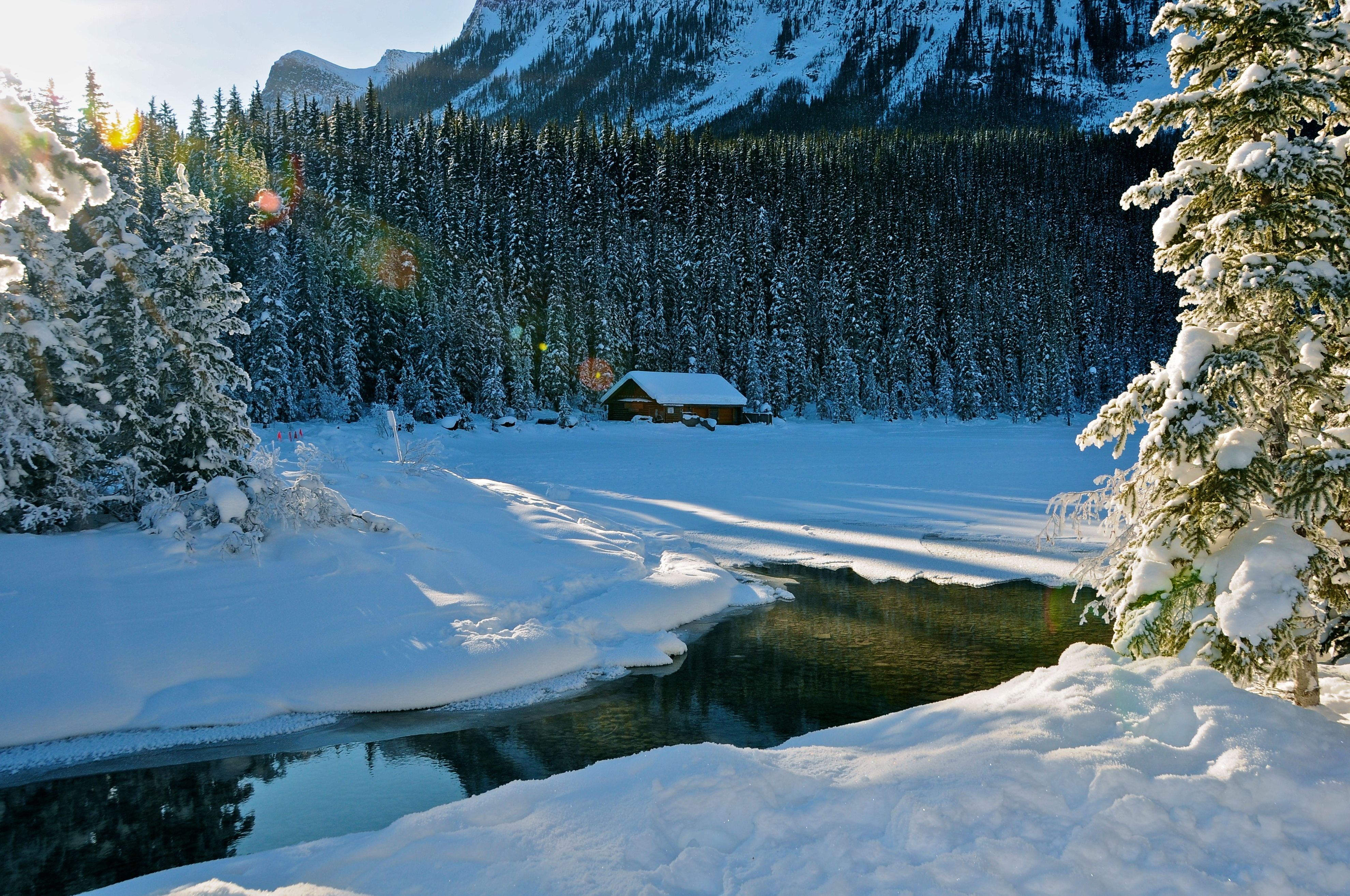 Scenic Winter Cabin in Snow-covered Forest · Free Stock Photo