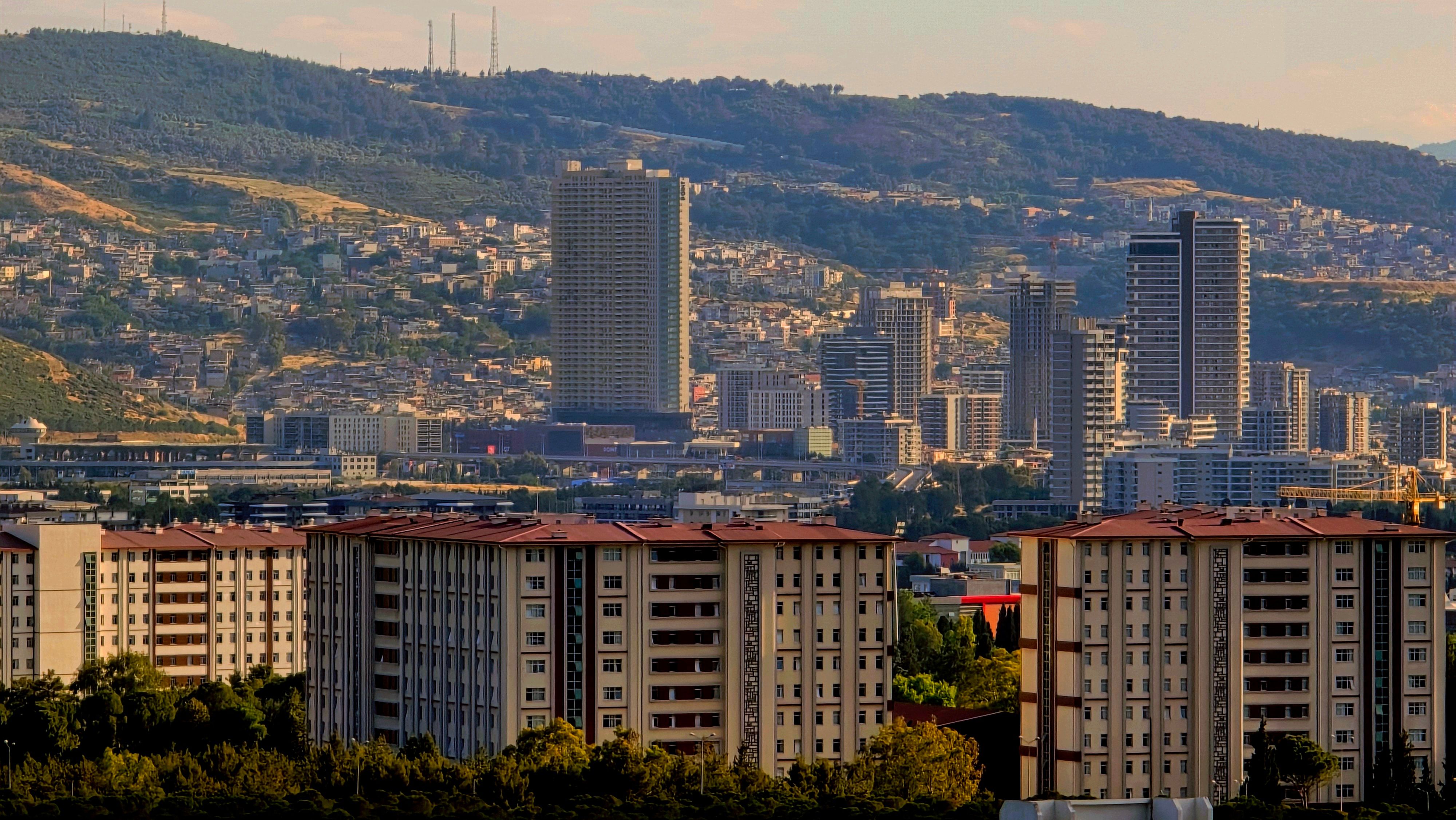 High Rise Buildings Near Green Leaf Trees Under White Sky during ...