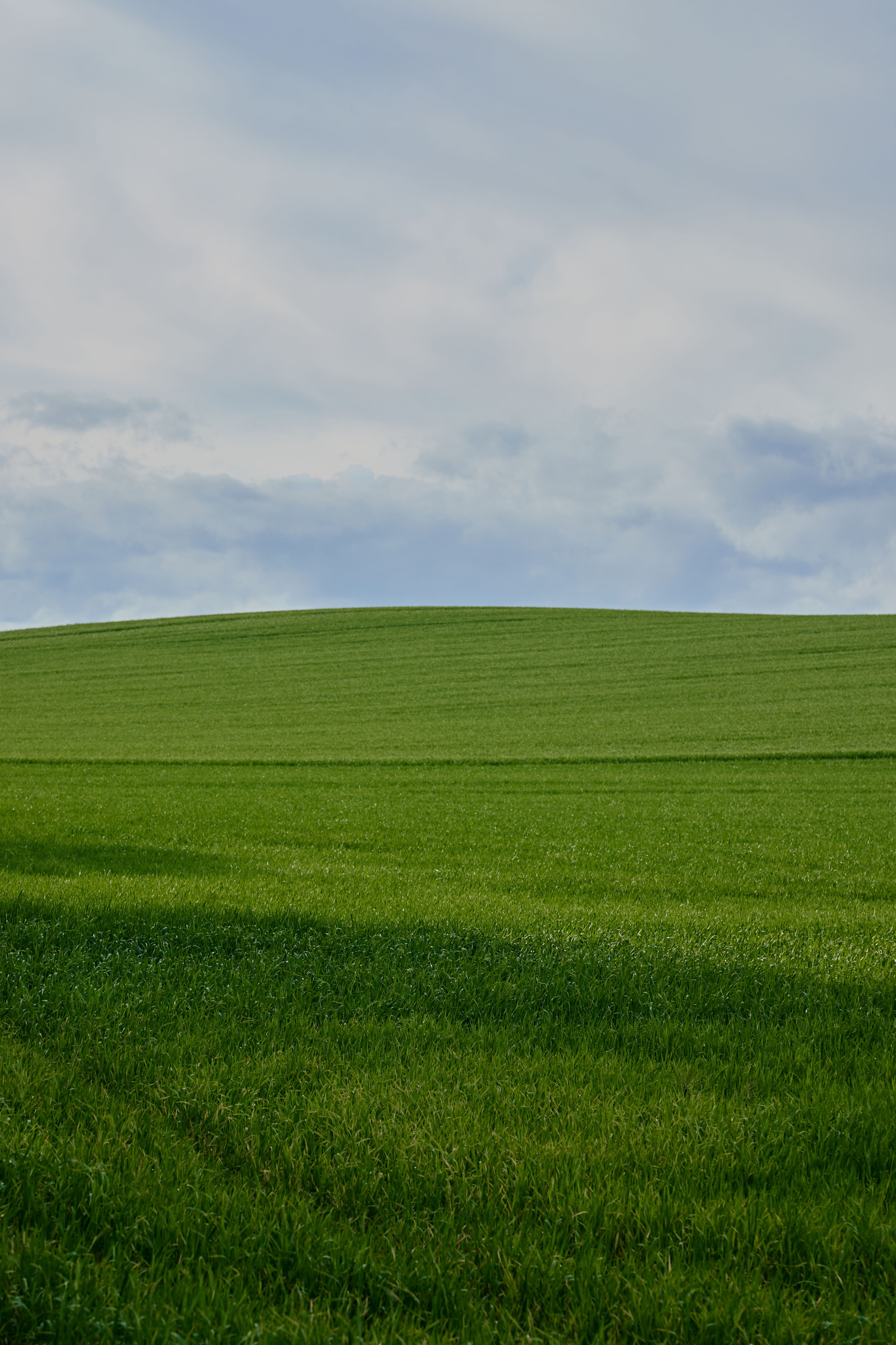 Field Background Photos, Download The BEST Free Field Background Stock ...
