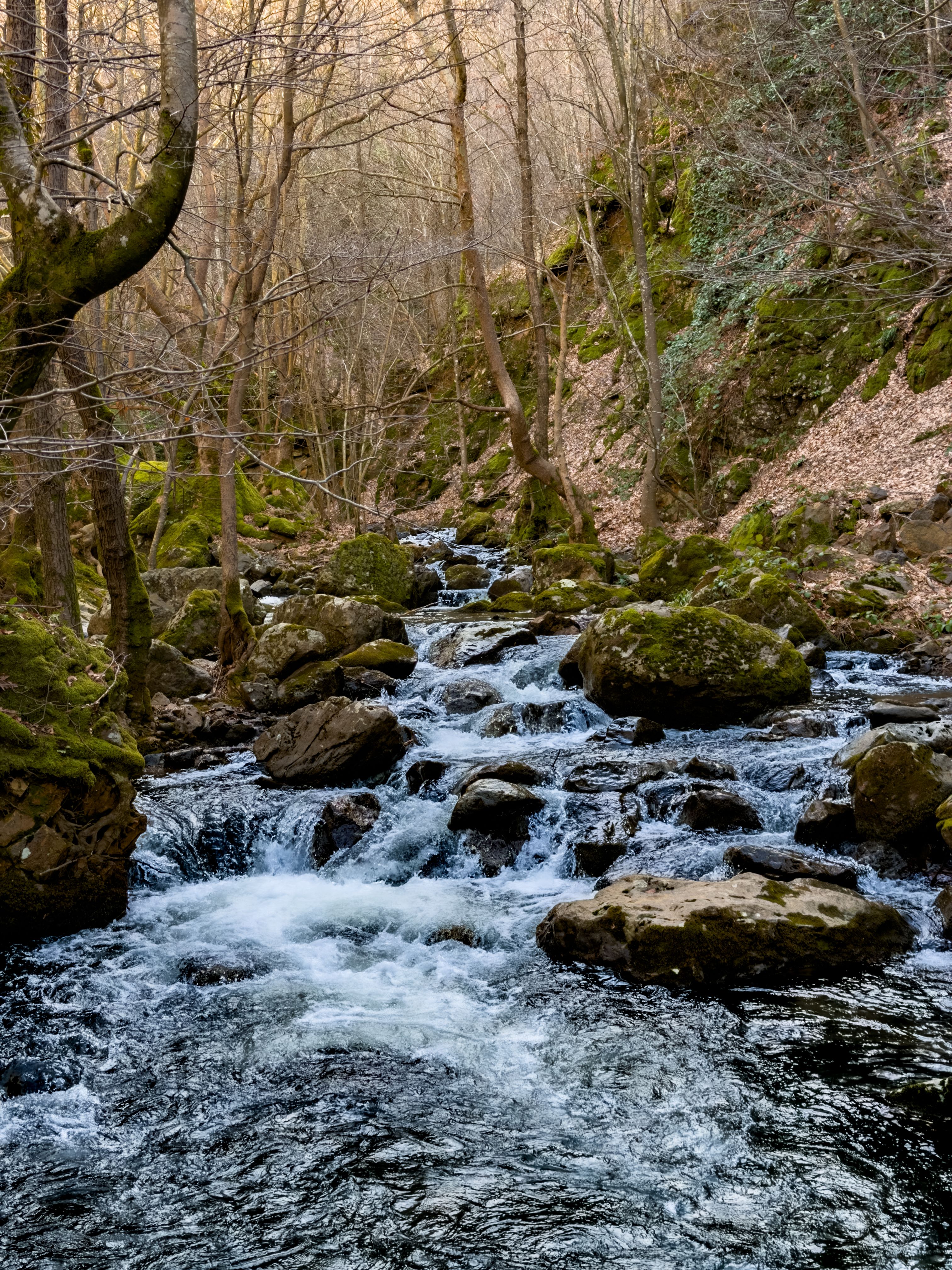 Spring Background With Creek Photos, Download The BEST Free Spring ...
