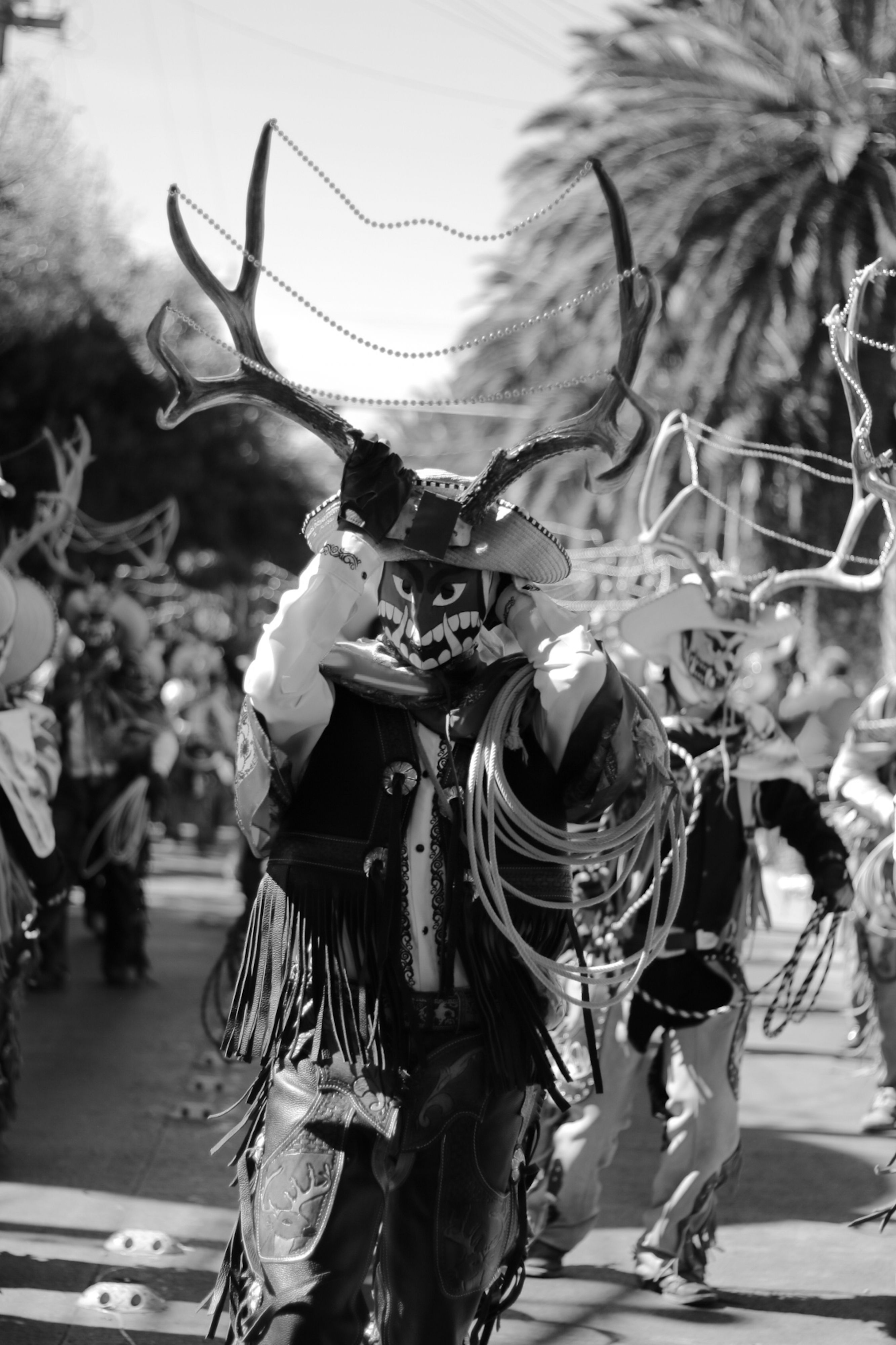 Dramatic Black and White Festival Parade · Free Stock Photo