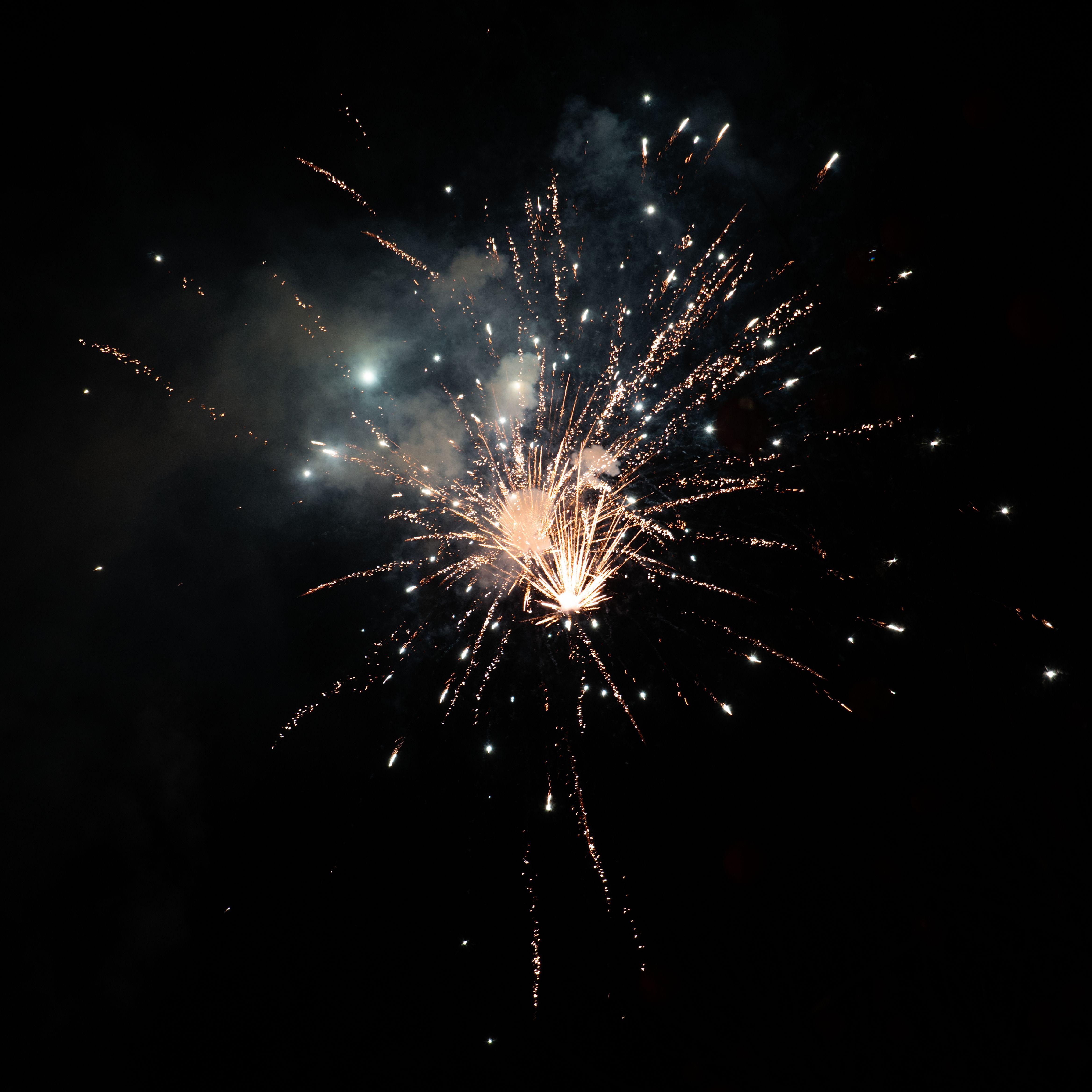 Brilliant Fireworks Explosion in Night Sky · Free Stock Photo