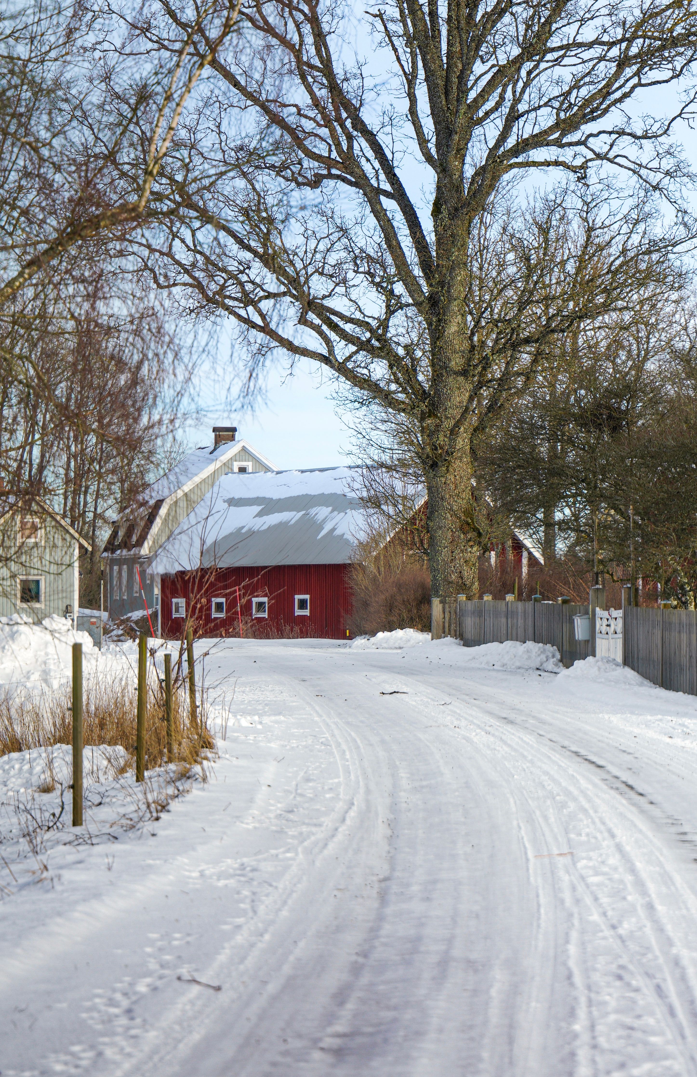 Winter Rural Scene in Jonkoping County, Sweden · Free Stock Photo