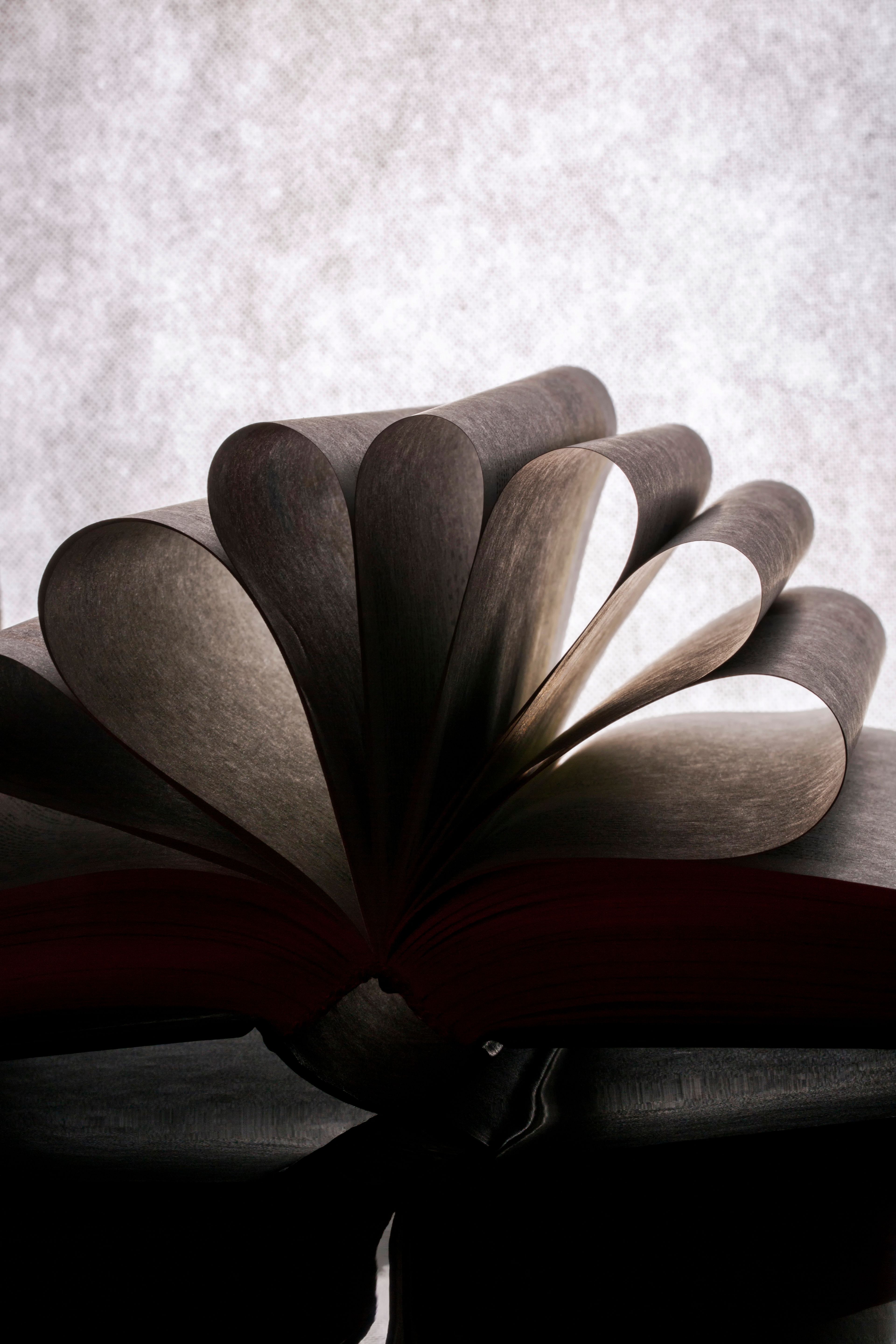 Book Pages Photos, Download The BEST Free Book Pages Stock Photos & HD ...