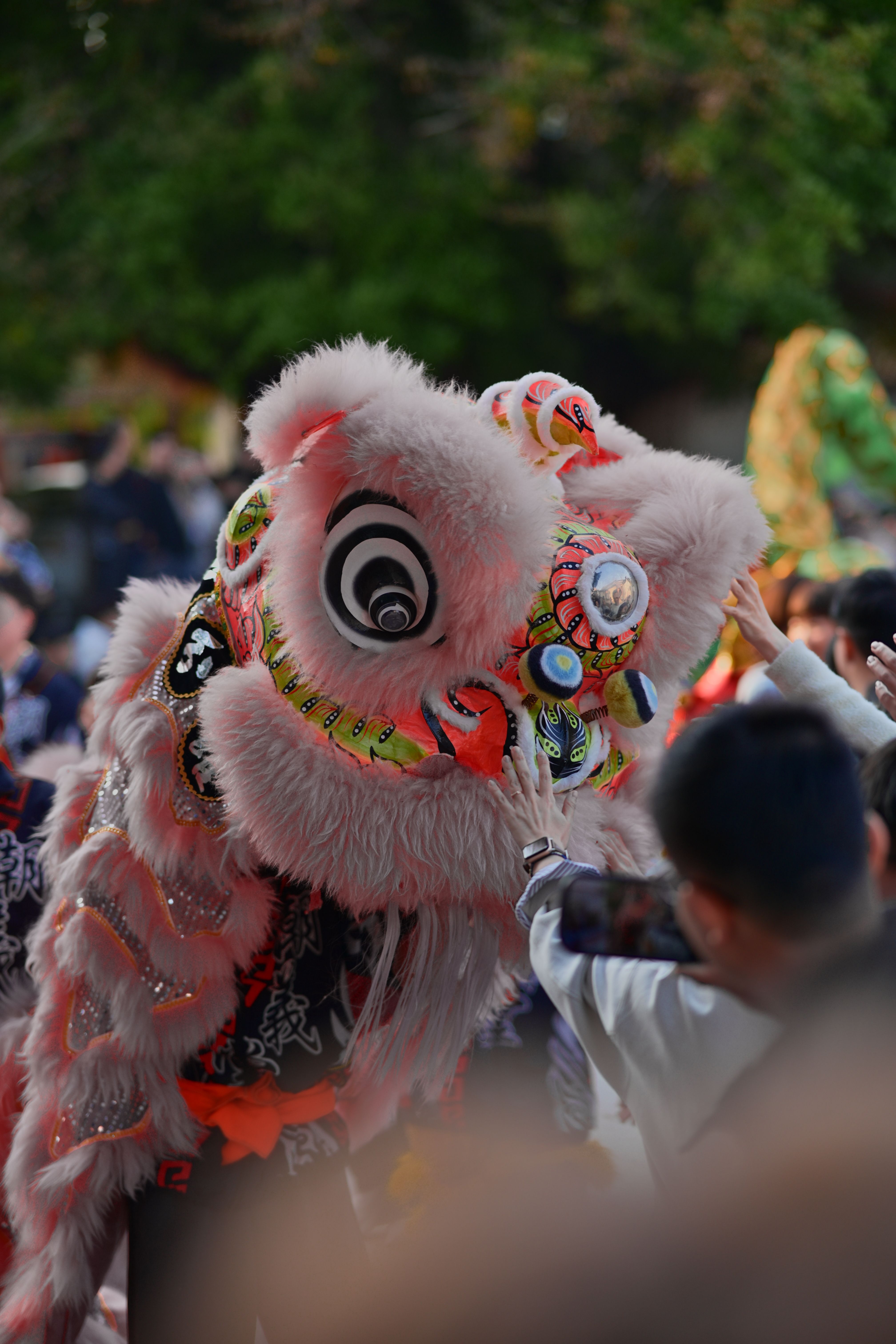 Vibrant Chinese Lion Dance with Red Lanterns · Free Stock Photo