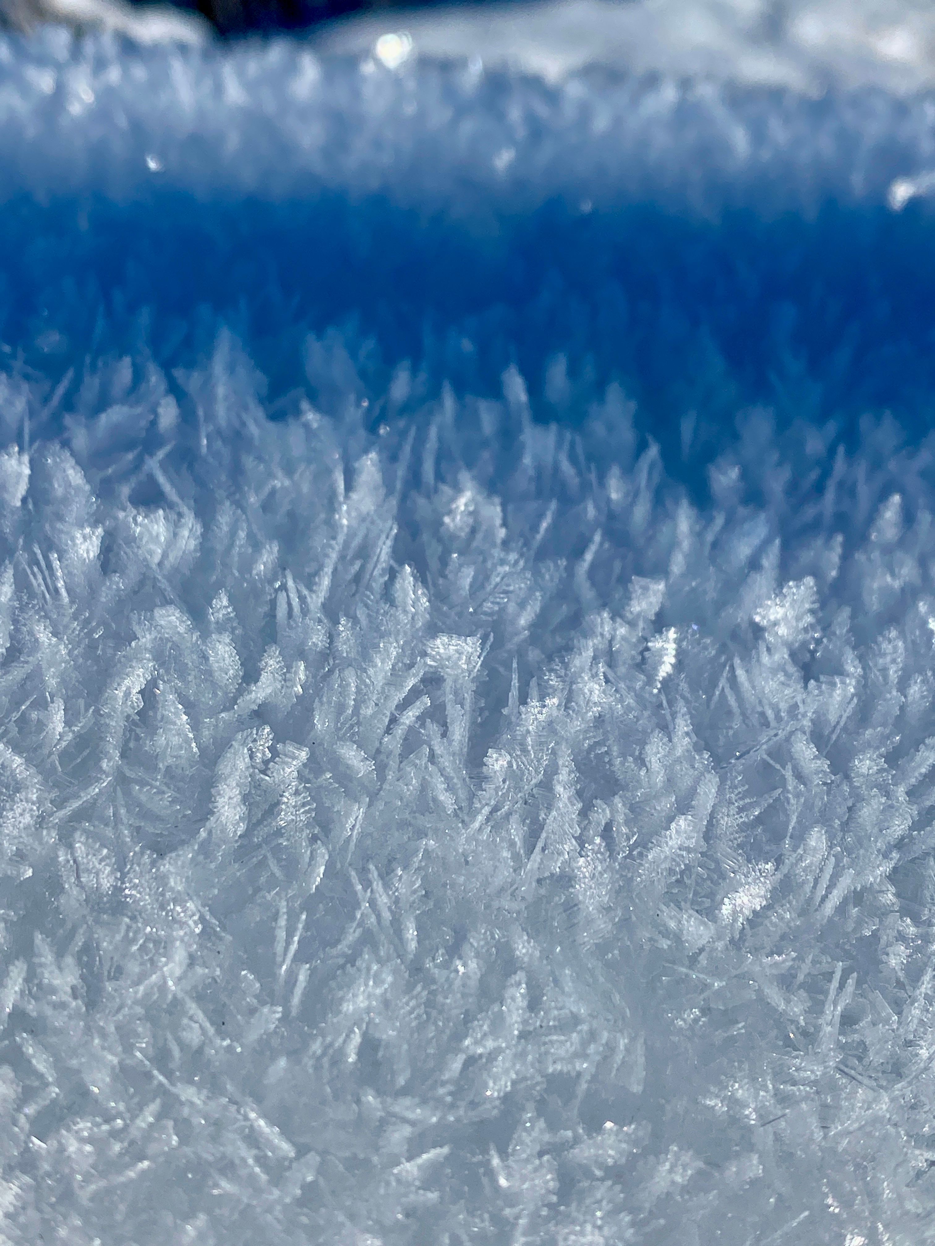 Freezing Photos, Download The BEST Free Freezing Stock Photos & HD Images