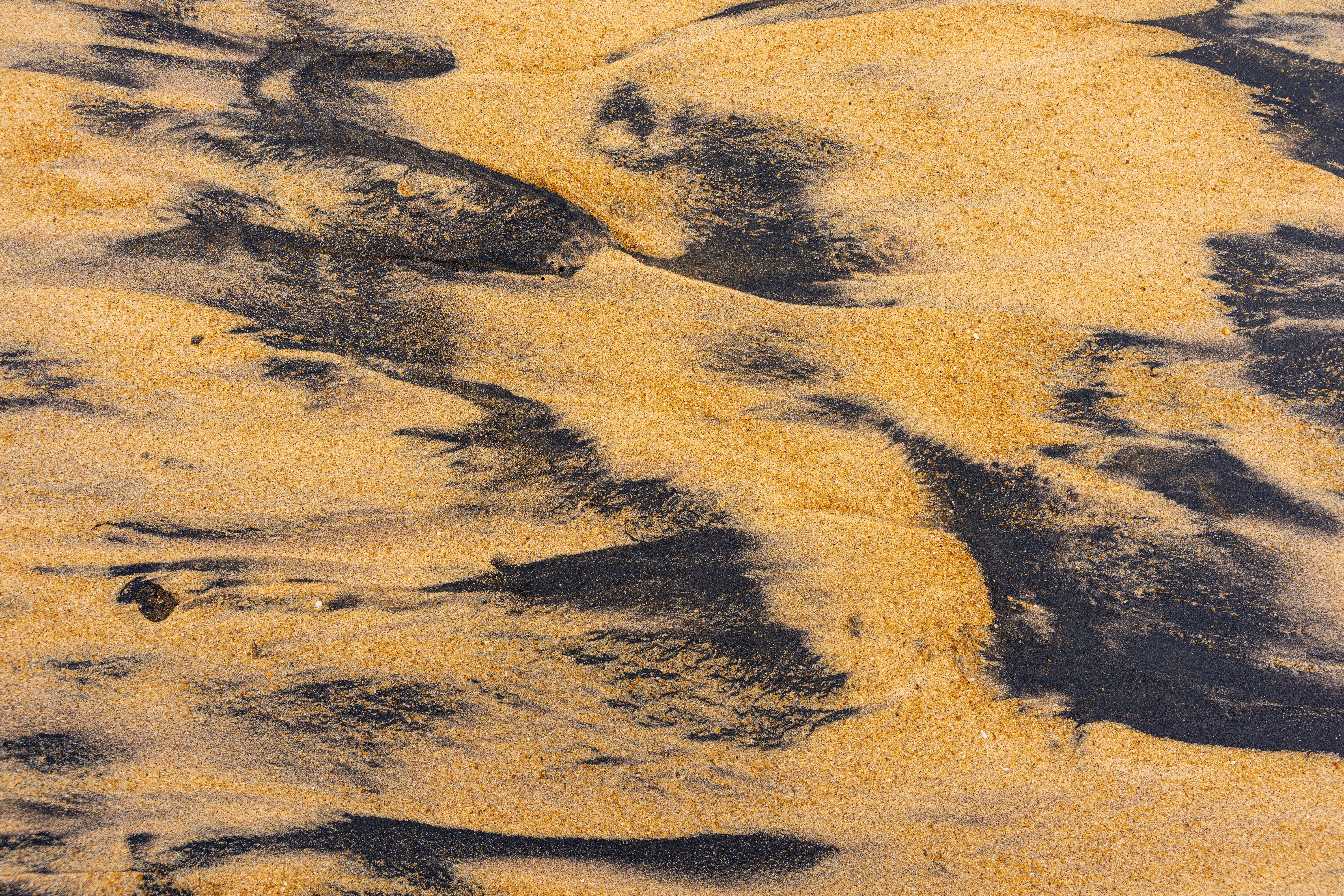 Beach Study Photos, Download The BEST Free Beach Study Stock Photos ...