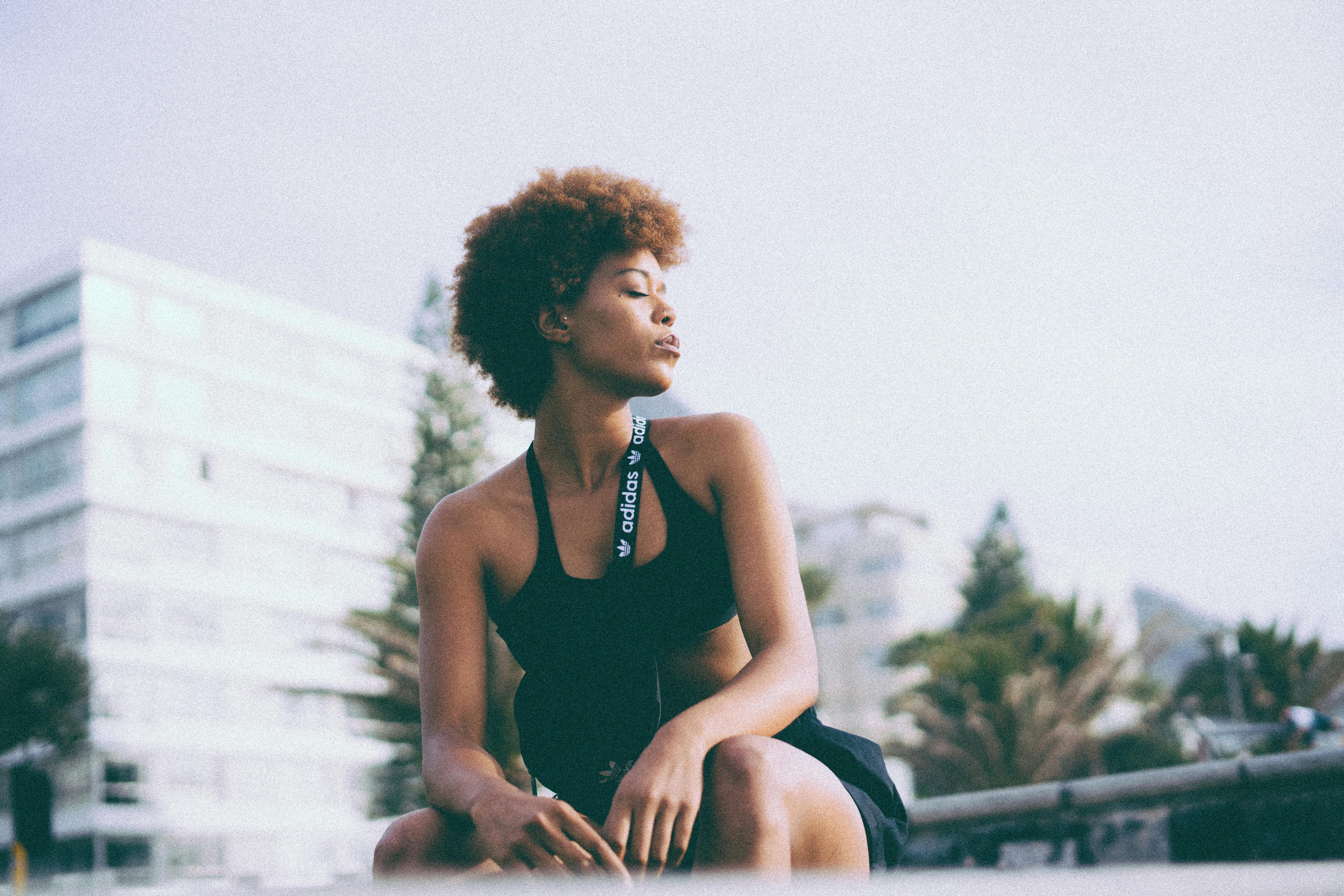 Gratis arkivbilde av afro, afro hår, afrofrisyre.