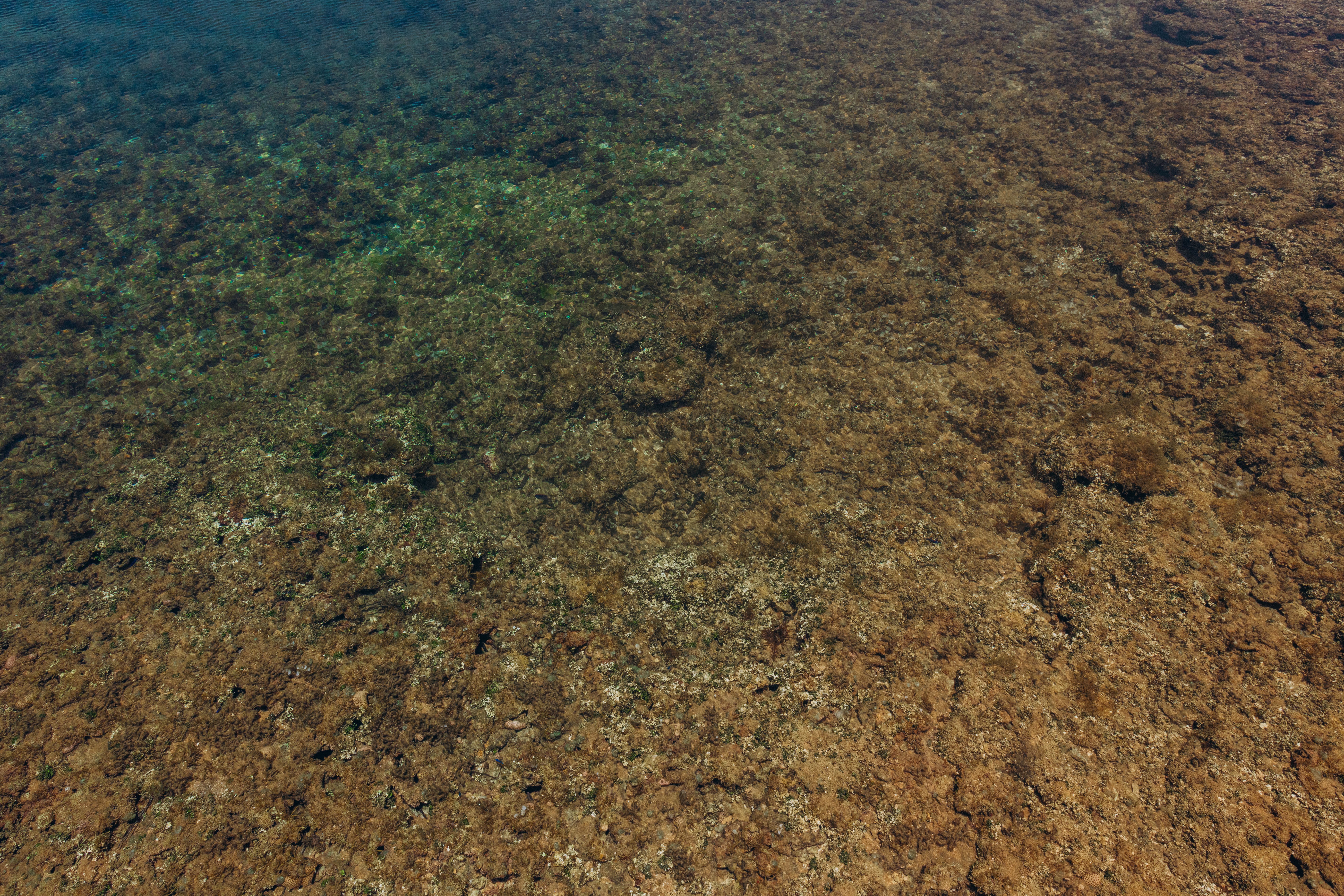 Underwater Ground Photos, Download The BEST Free Underwater Ground ...