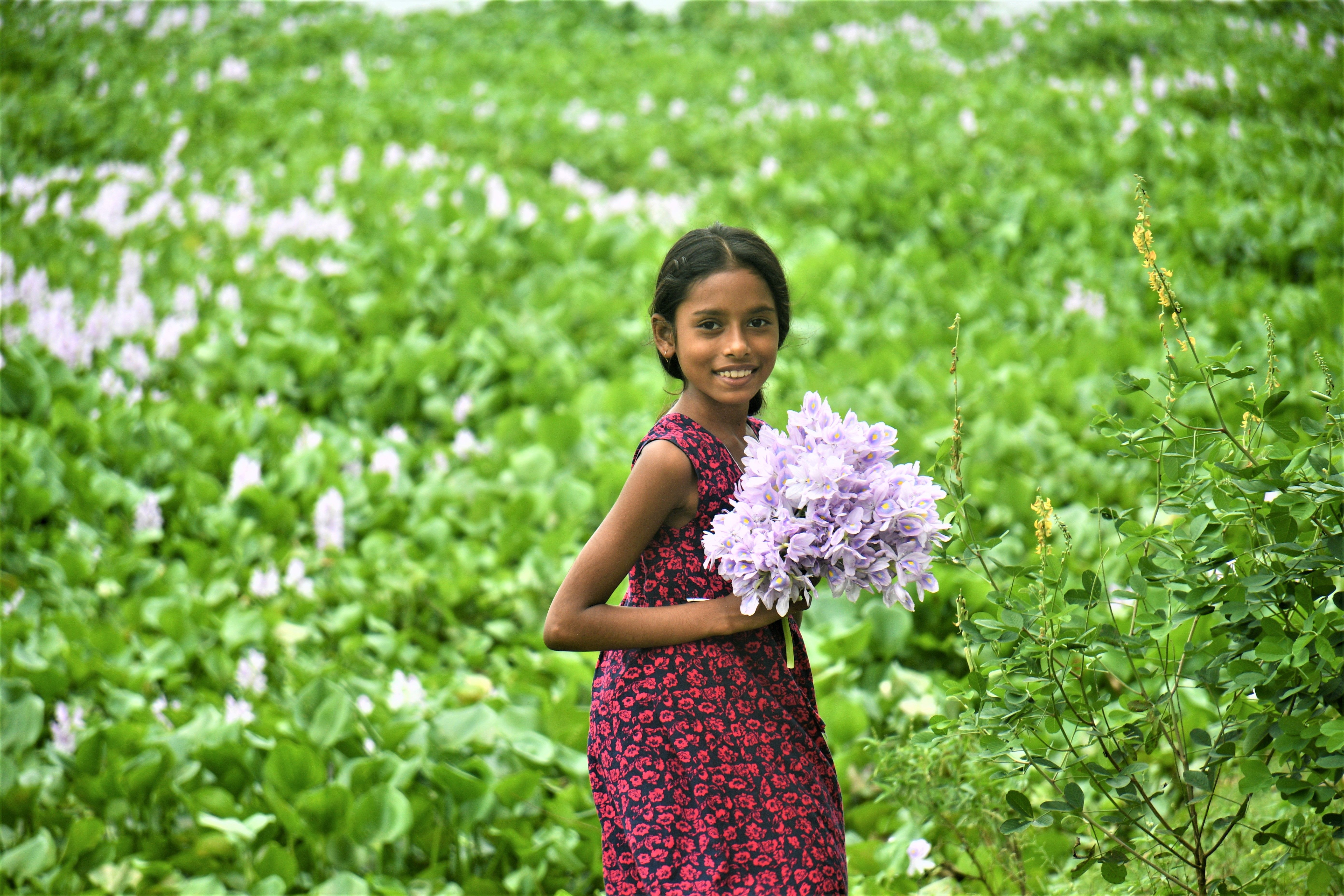 Young Girl Holding Water Hyacinth Bouquet in Field · Free Stock Photo