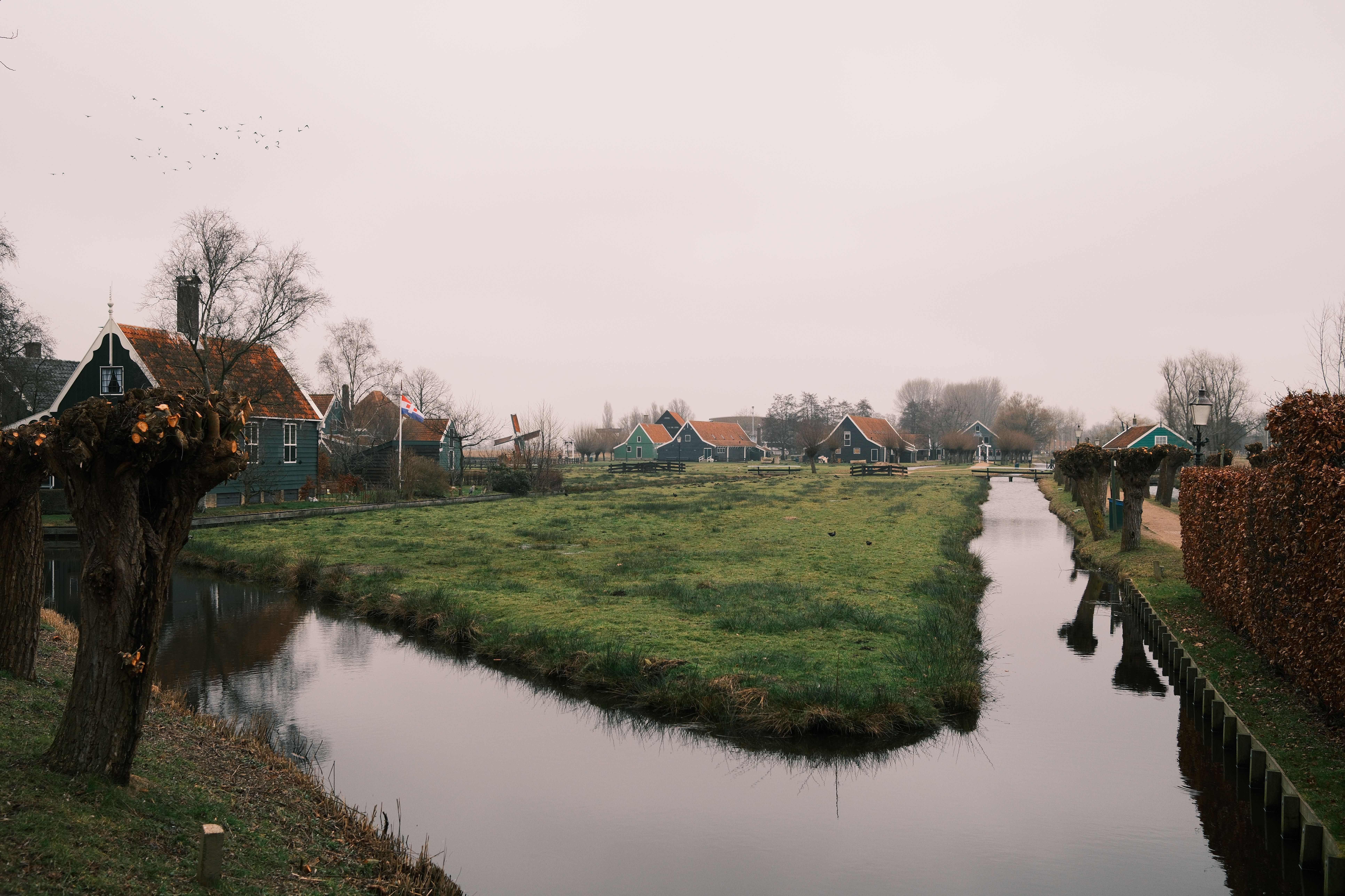 Netherlands Nature Photos, Download The BEST Free Netherlands Nature ...