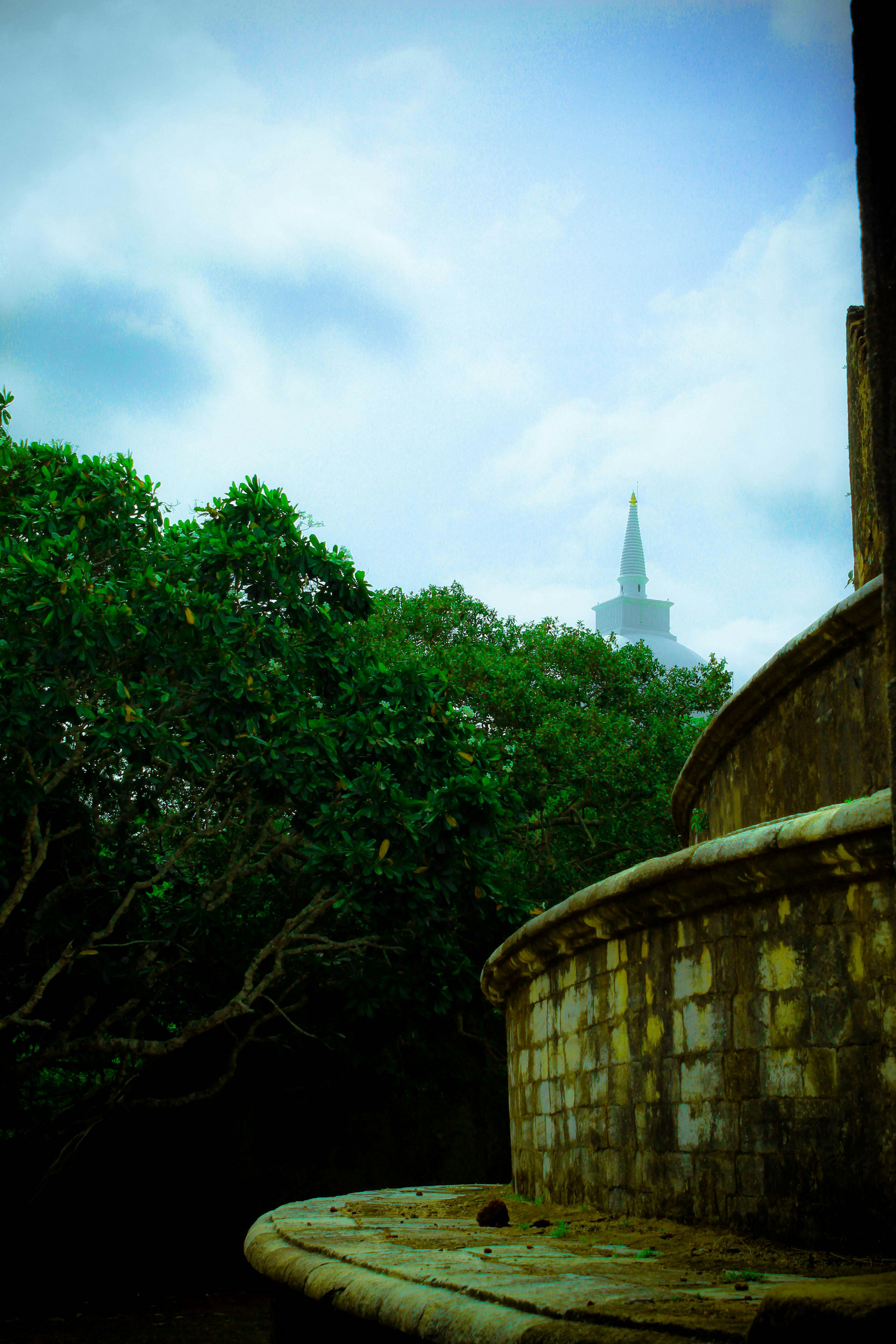 Thenuka S Dilhara Hewawasam - 摄影