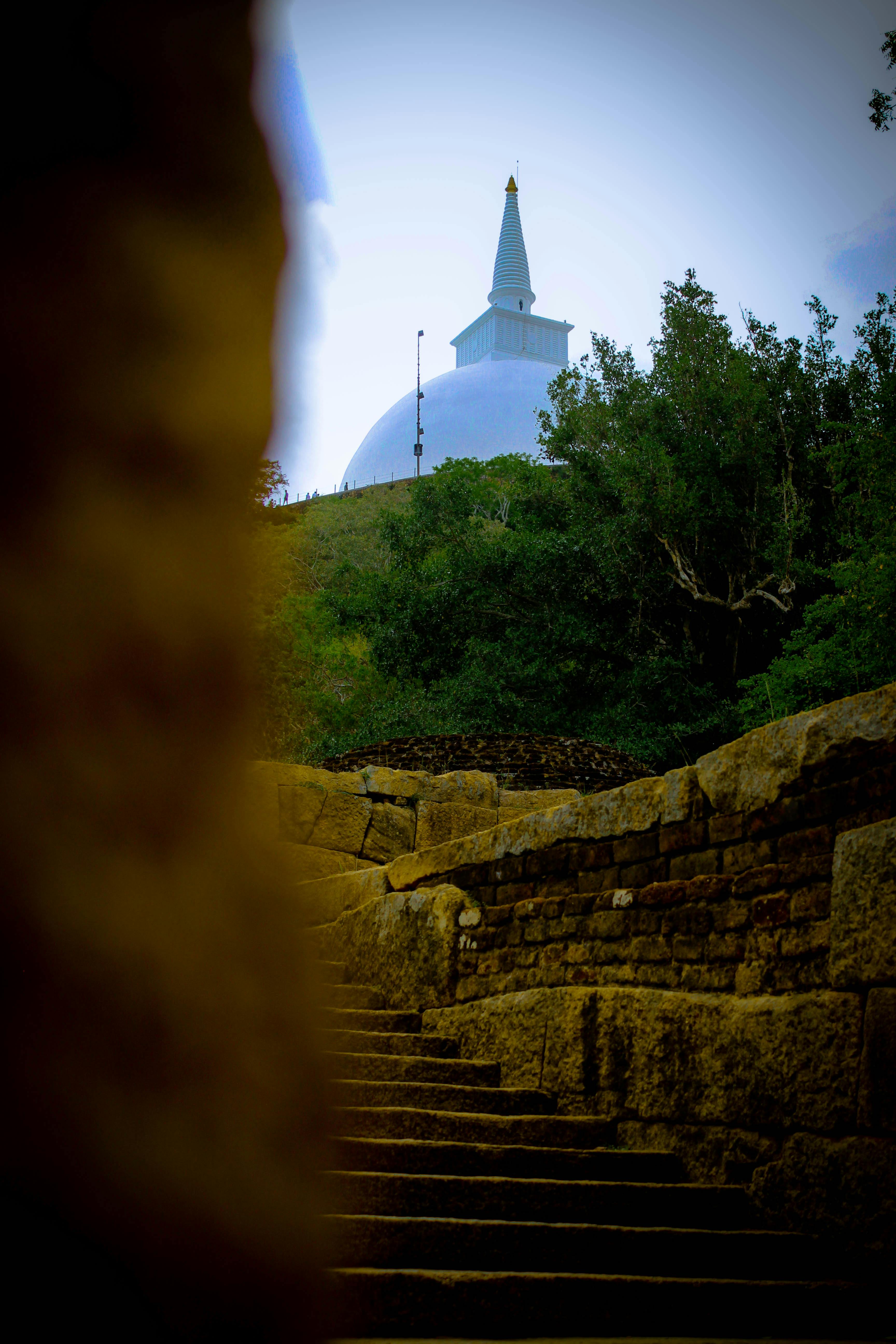 Thenuka S Dilhara Hewawasam - 摄影