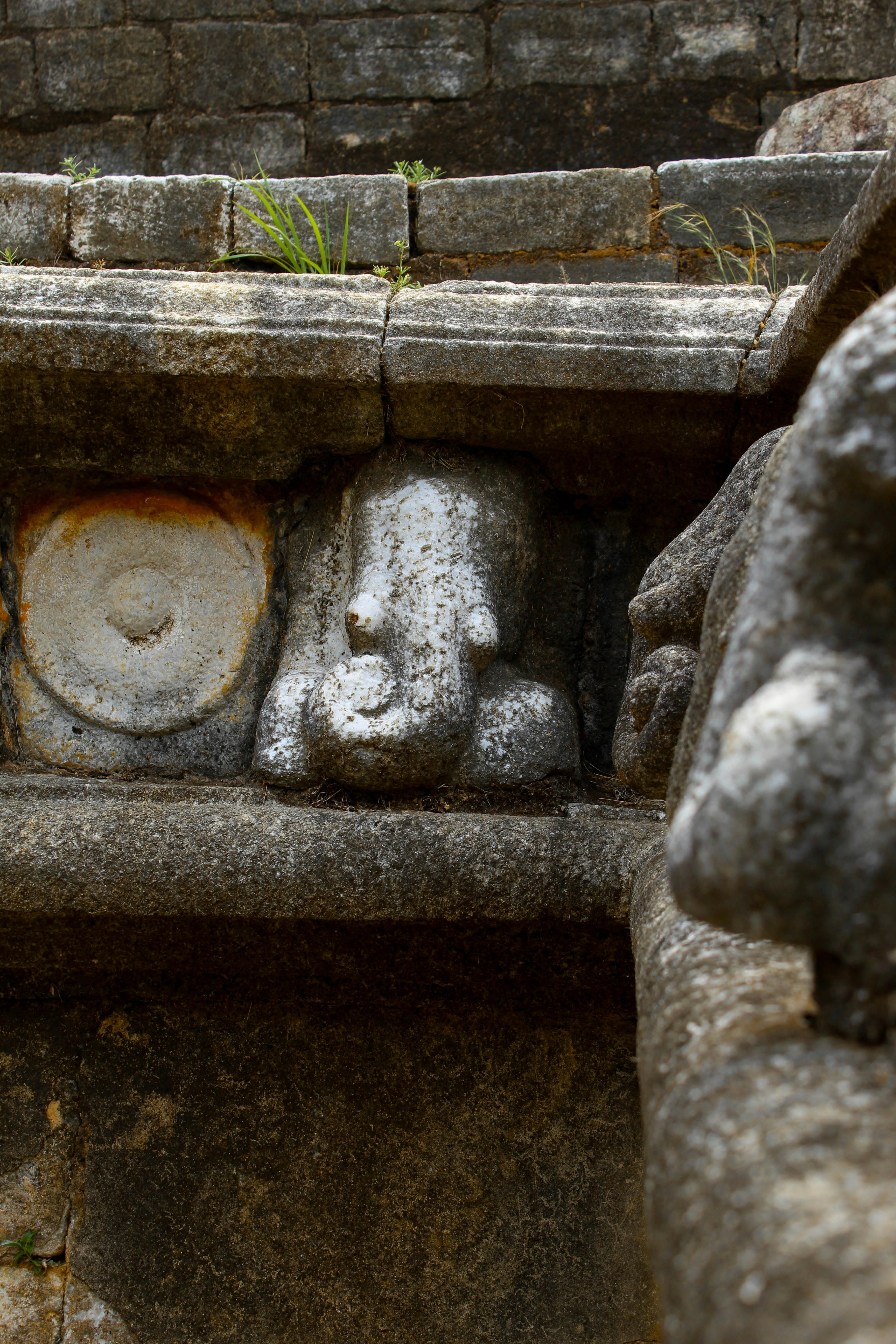 Thenuka S Dilhara Hewawasam - Photography