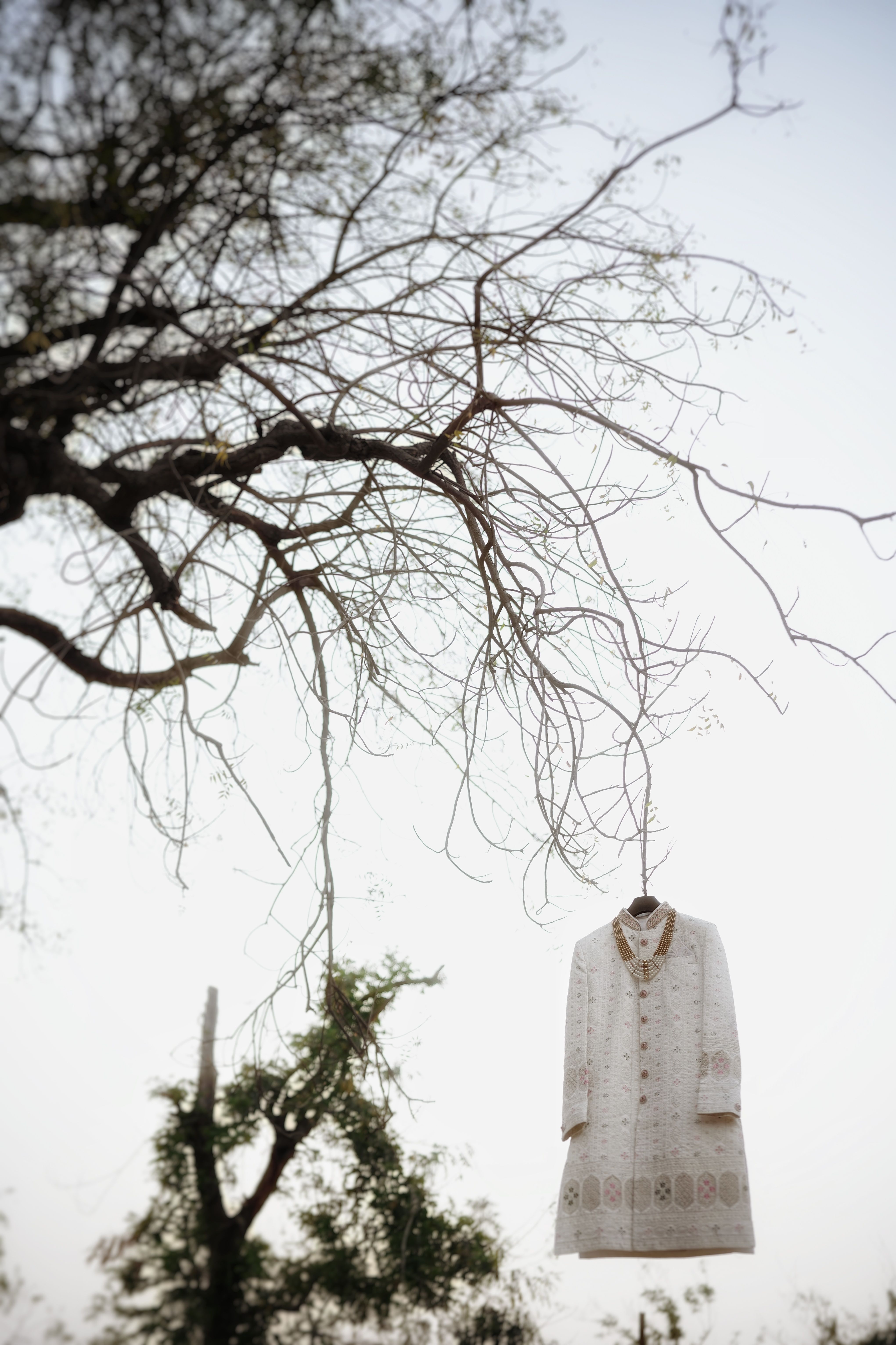 Traditional Sherwani Hanging on Tree Branch in India · Free Stock Photo