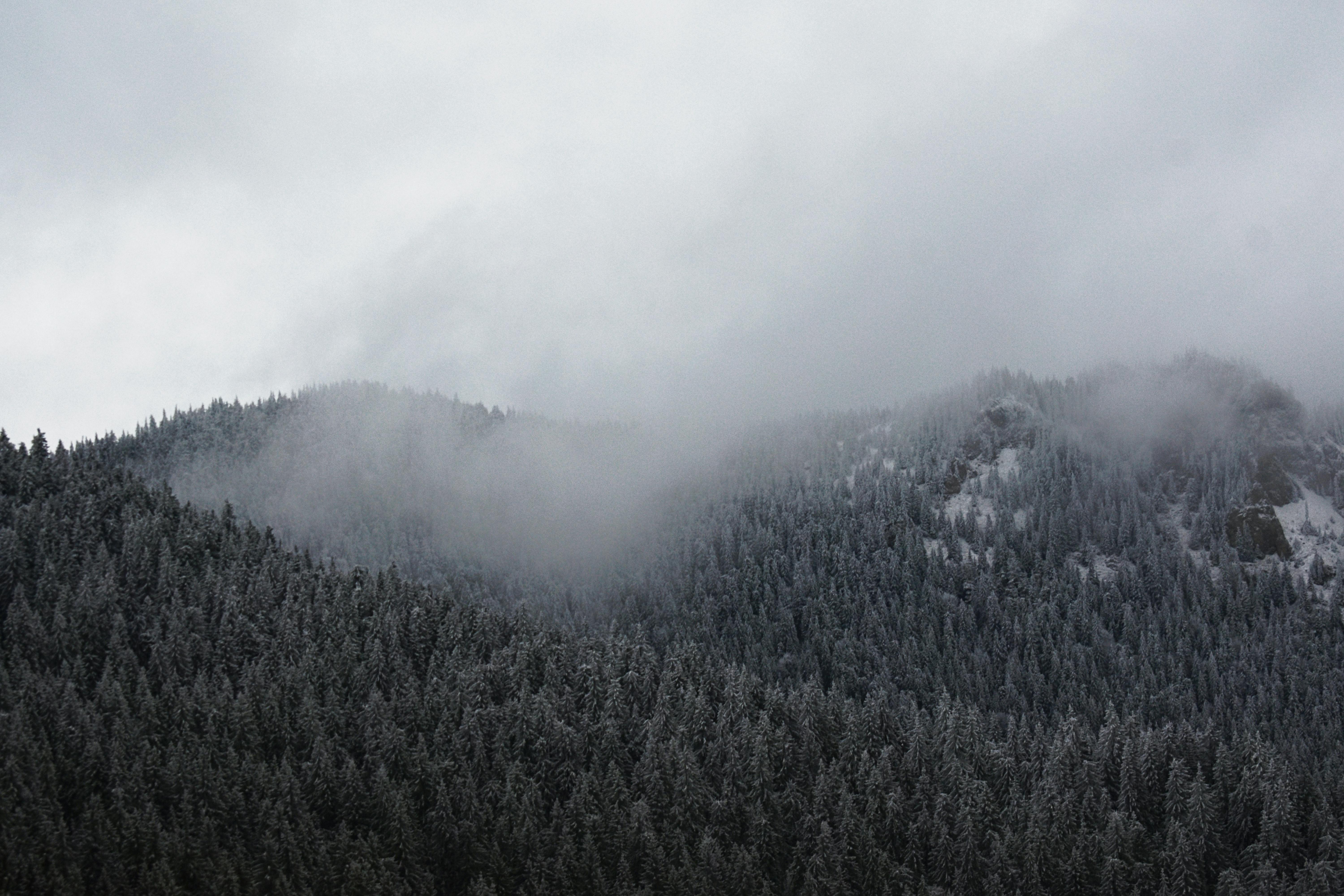 Green Trees on Mountain Under White Clouds · Free Stock Photo