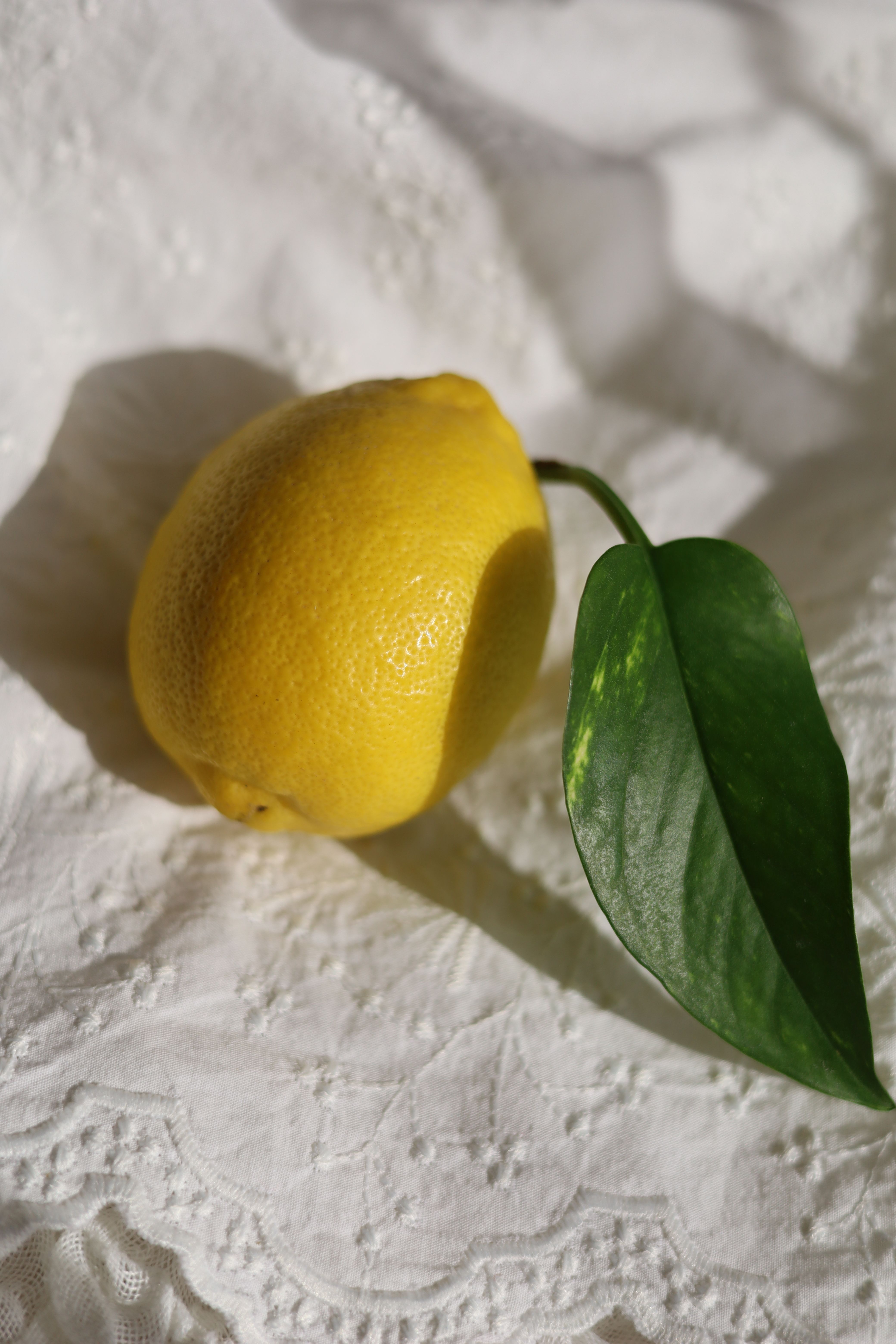 873+ Fotos y Imágenes de Limon+face Gratis · Banco de Fotos Gratis