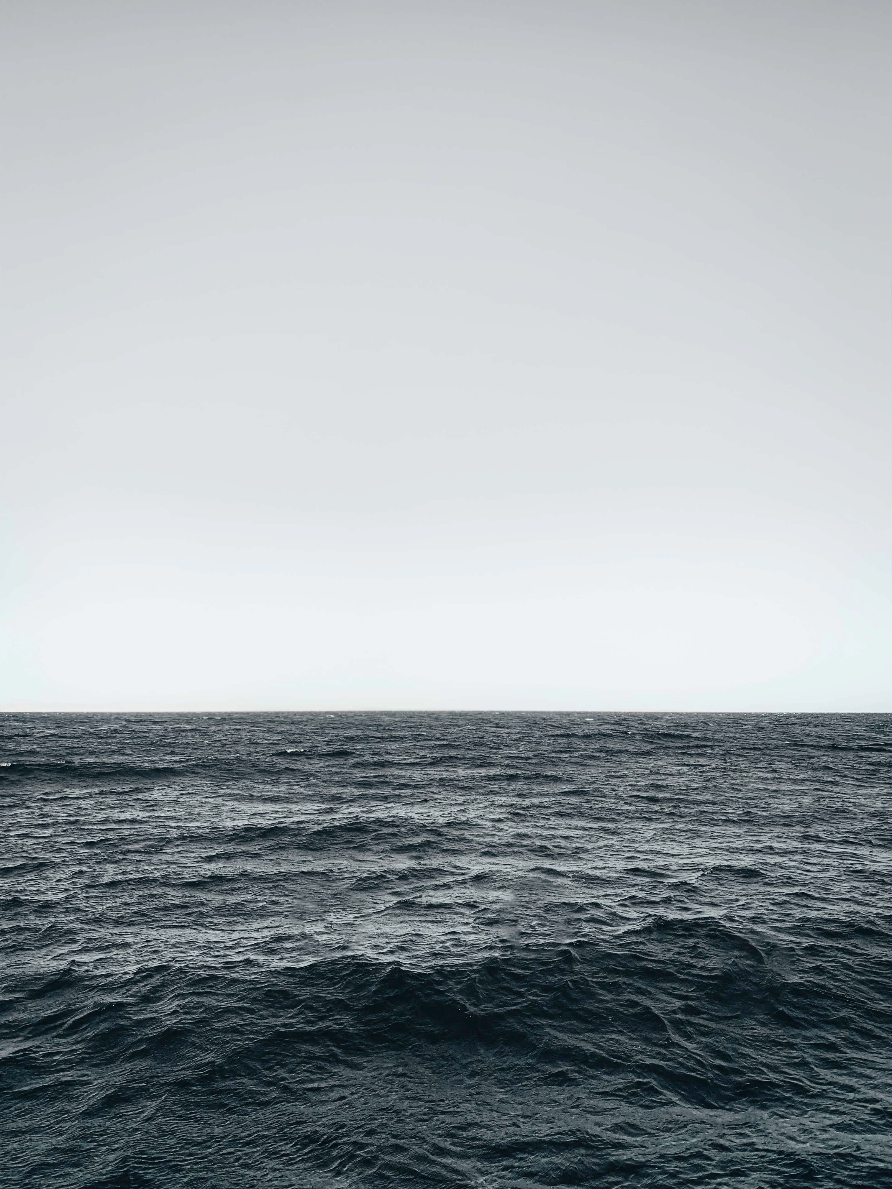 Cloudless sky over powerful waving ocean · Free Stock Photo