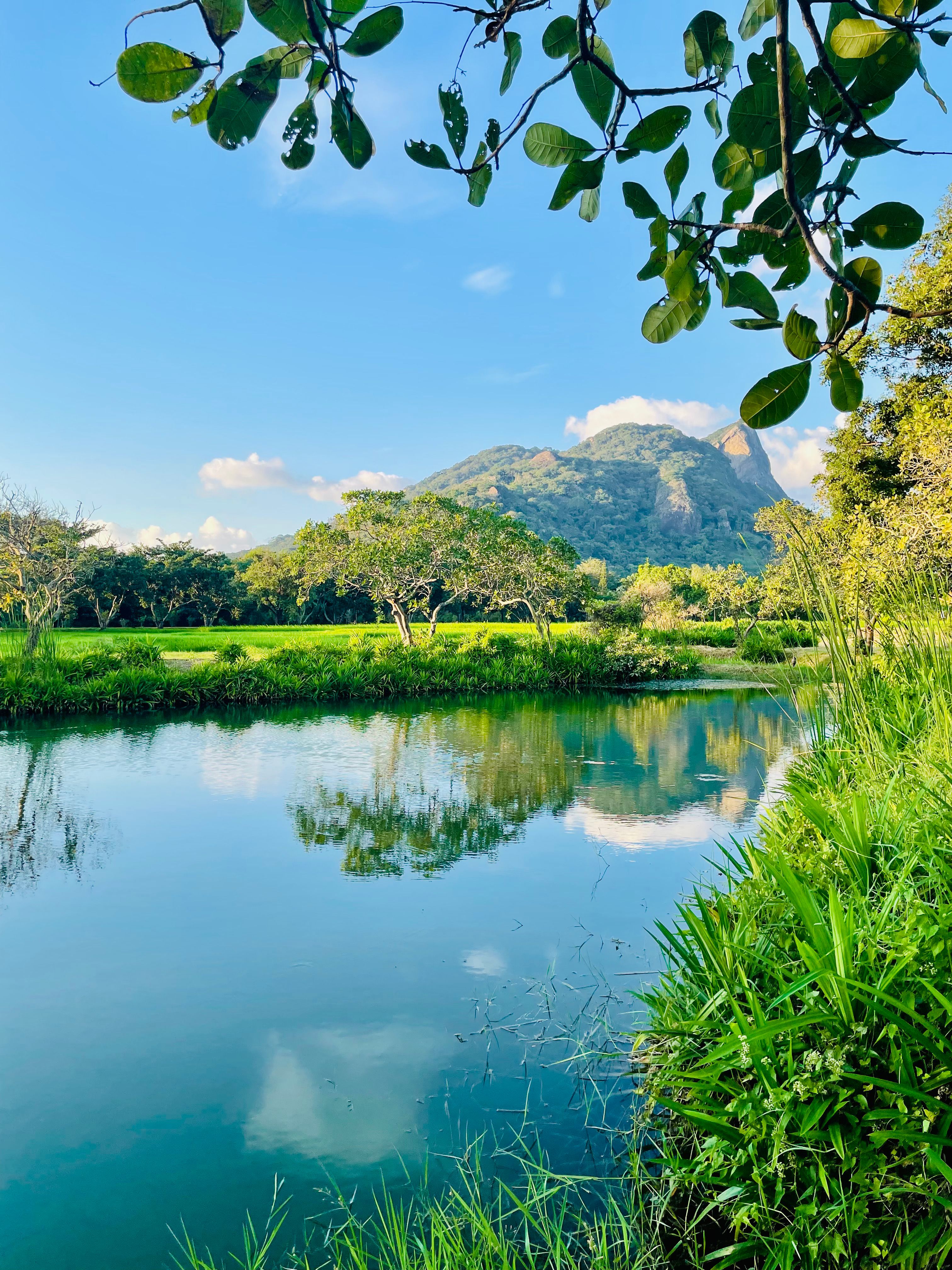 Knuckles Mountain Photos, Download The BEST Free Knuckles Mountain ...