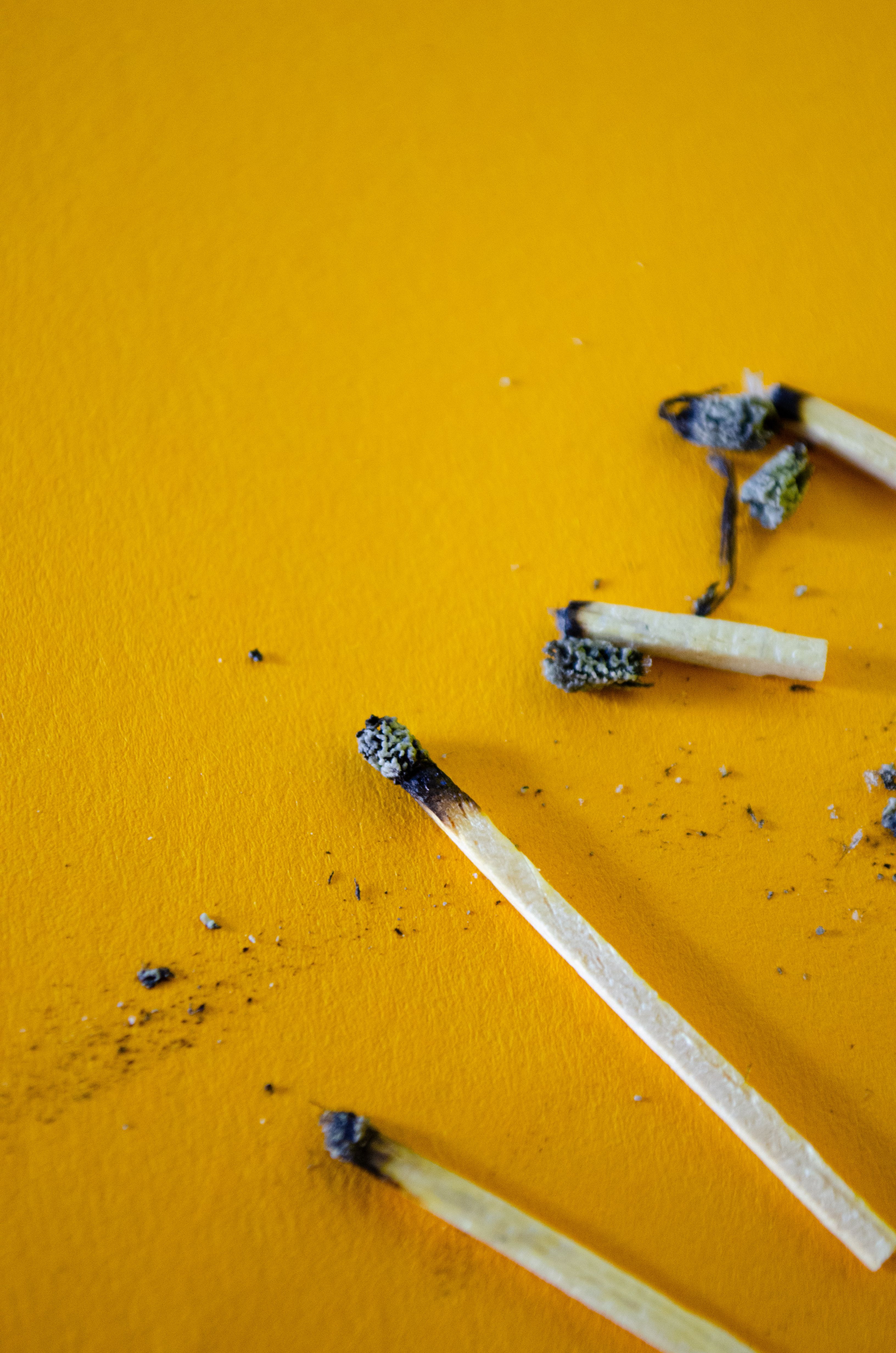 Ashes Photos, Download The BEST Free Ashes Stock Photos & HD Images