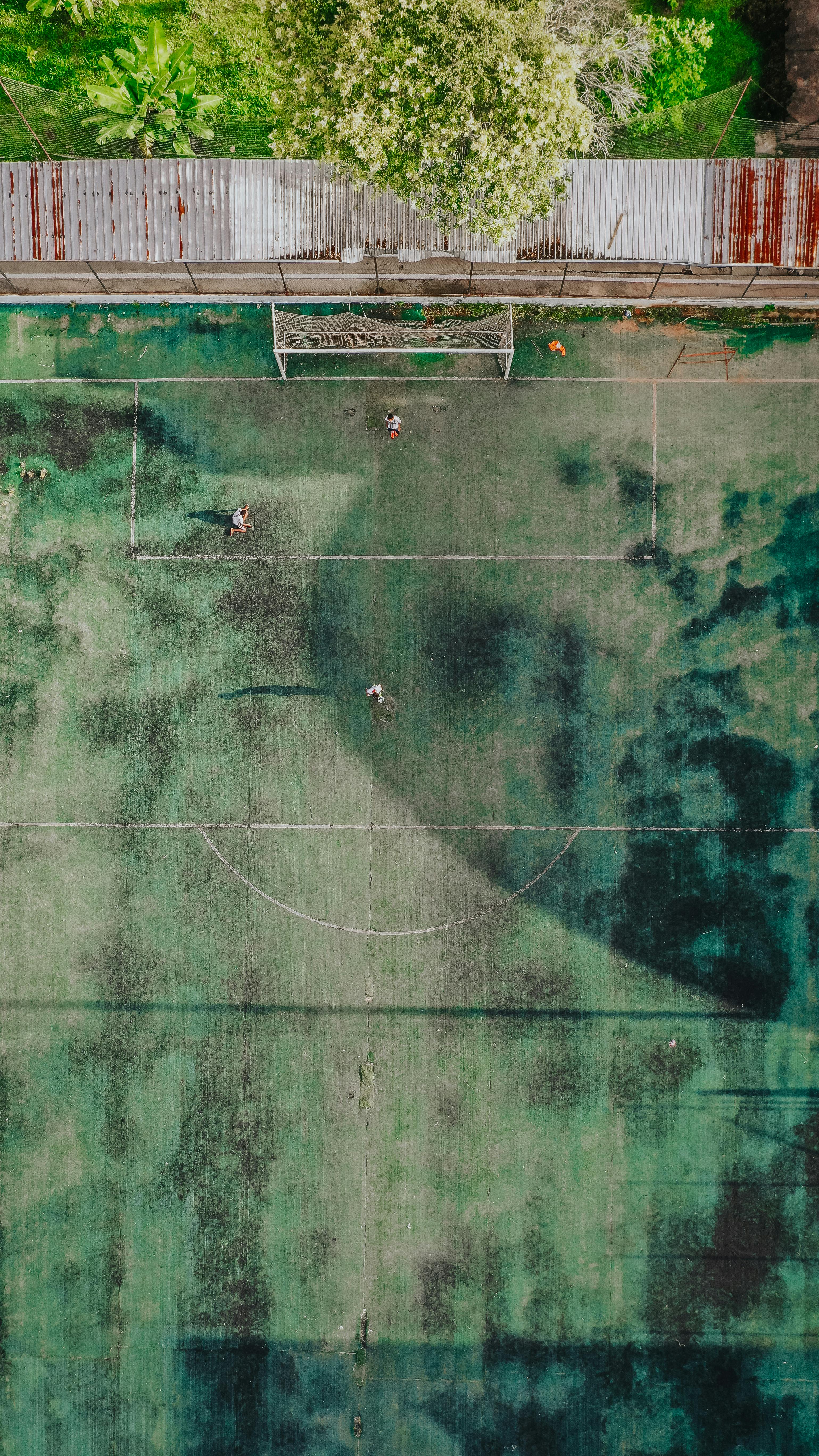 Frone Photos, Download The BEST Free Frone Stock Photos & HD Images