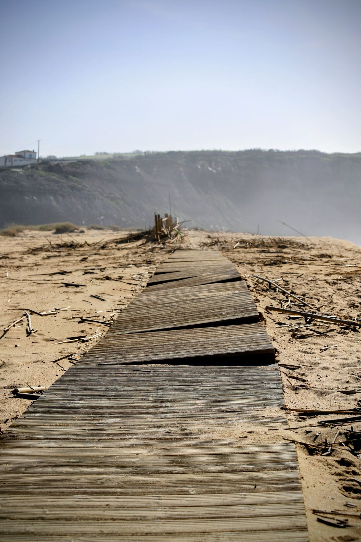 Beach Wood Path Photos, Download The BEST Free Beach Wood Path Stock ...