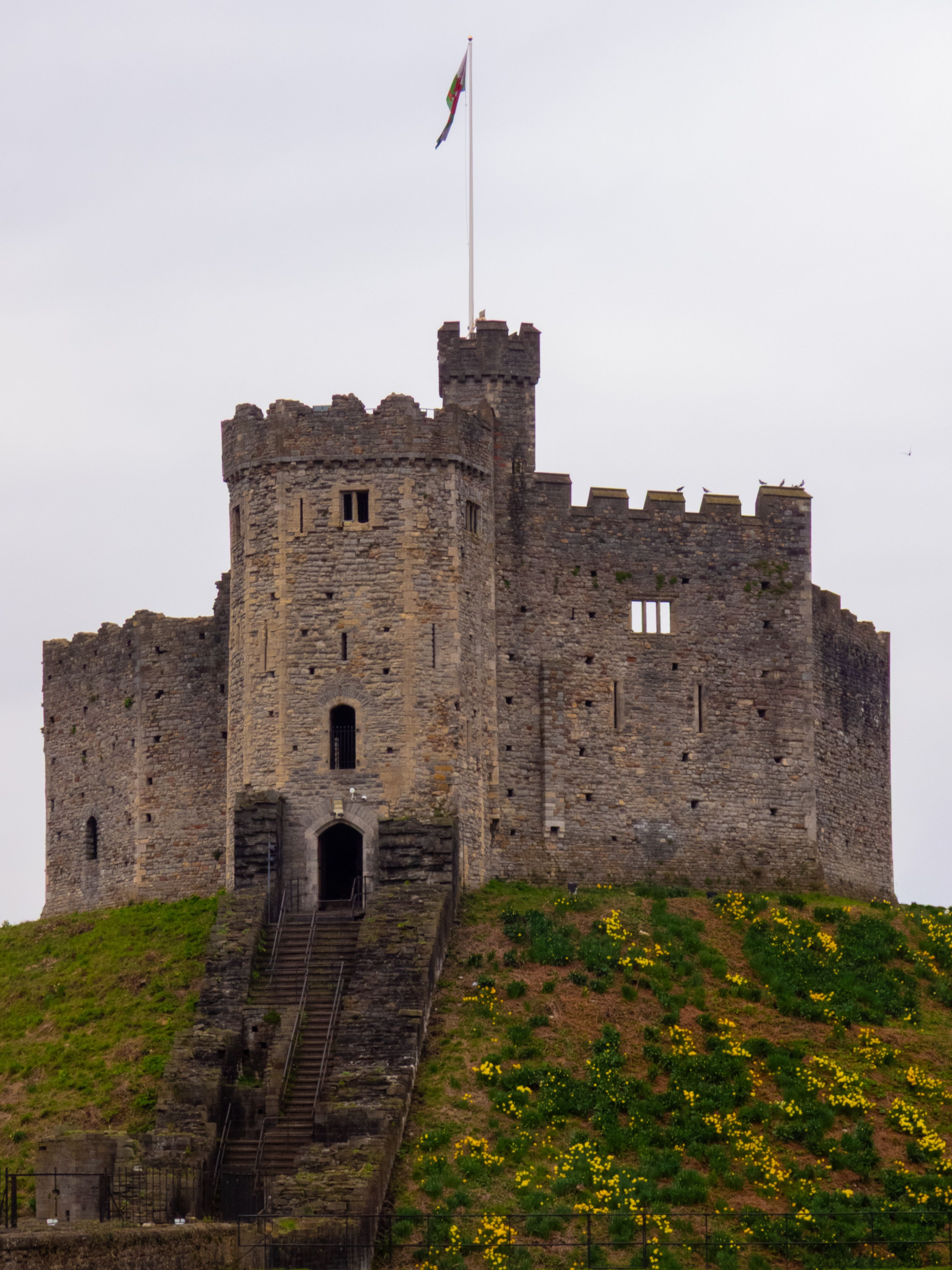 Cardiff Photos, Download The BEST Free Cardiff Stock Photos & HD Images