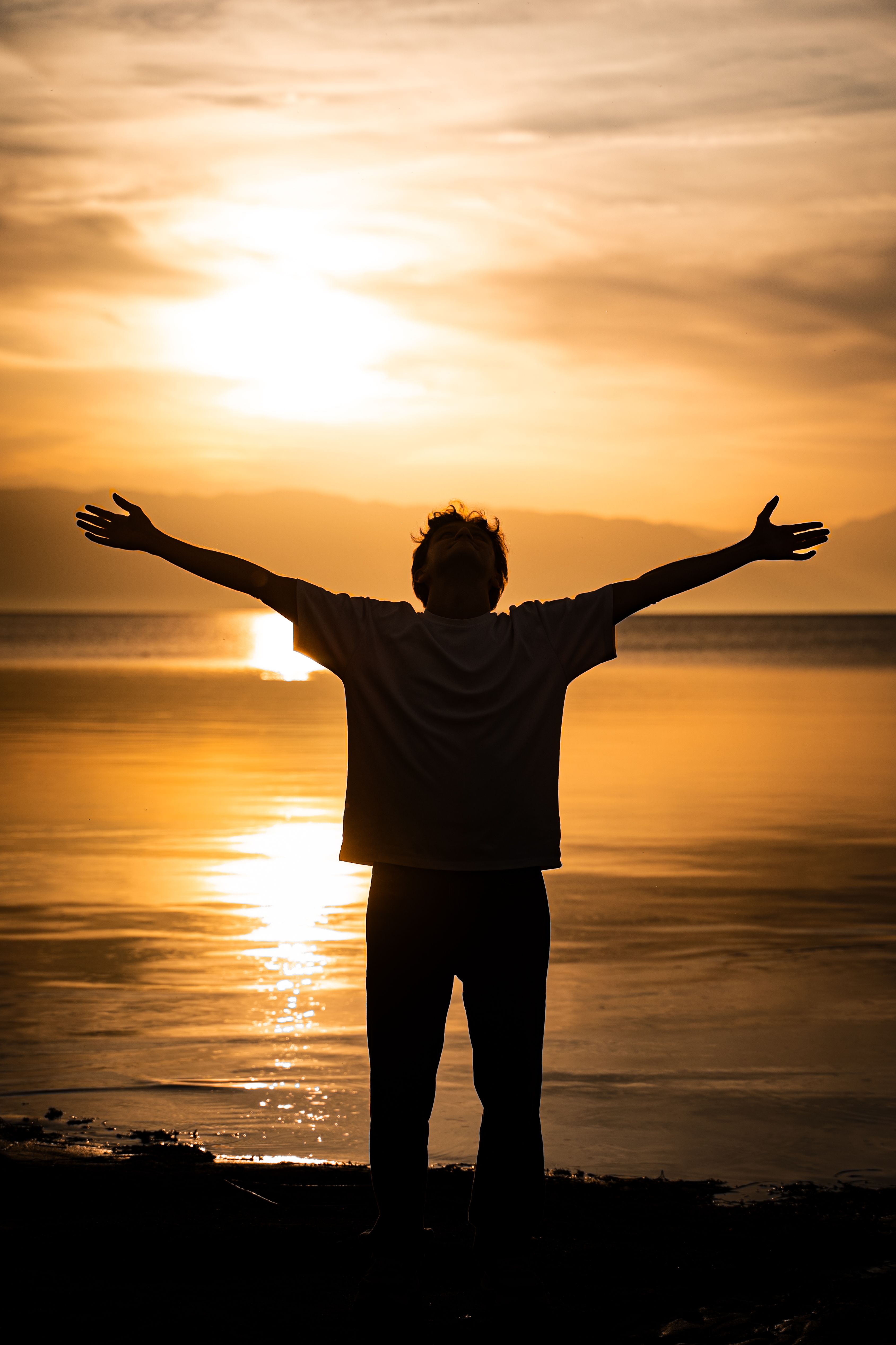 Surrender Photos, Download The BEST Free Surrender Stock Photos & HD Images