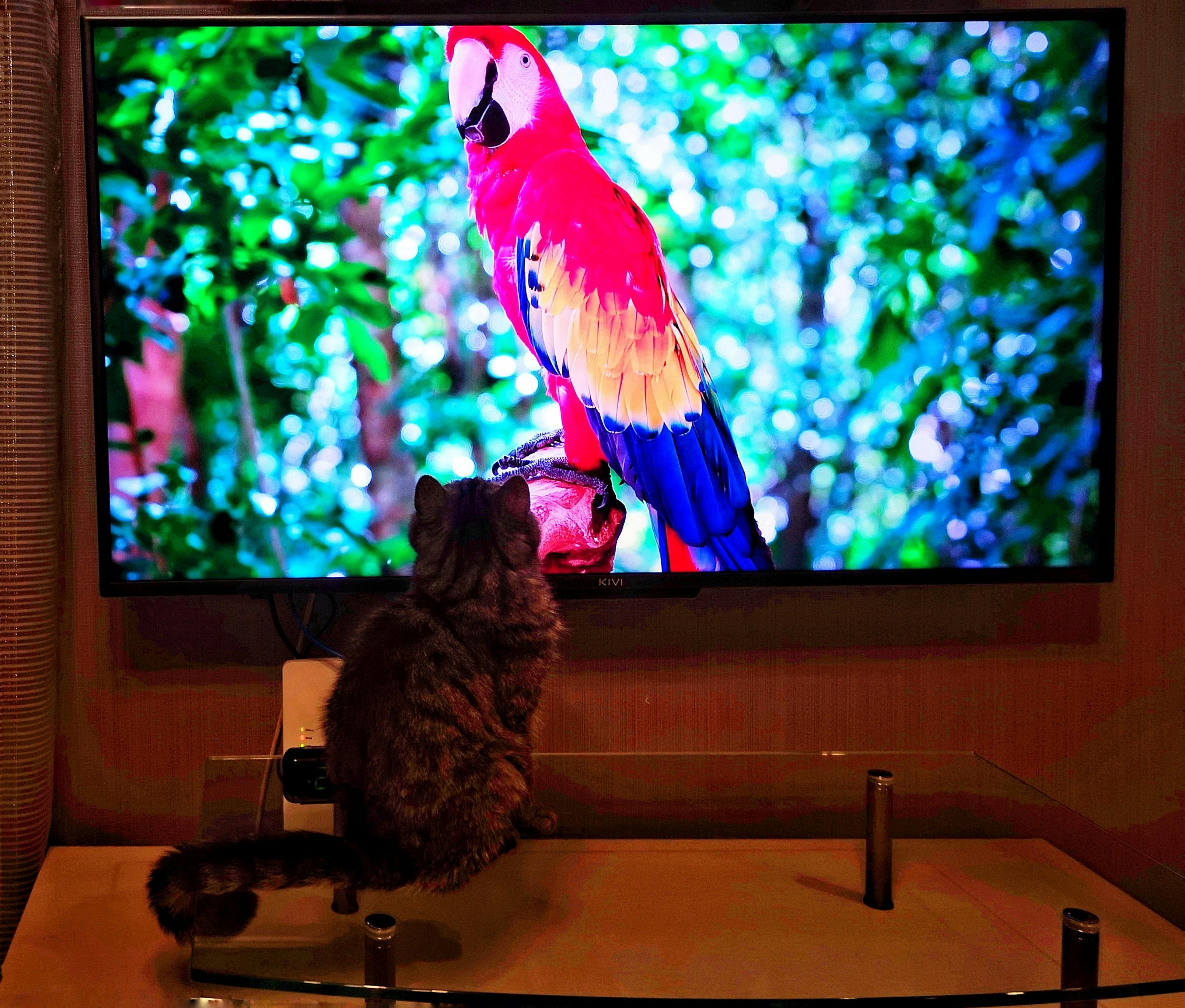 What Does A White Beard Symbolize? Exploring The Meaning Behind This ...