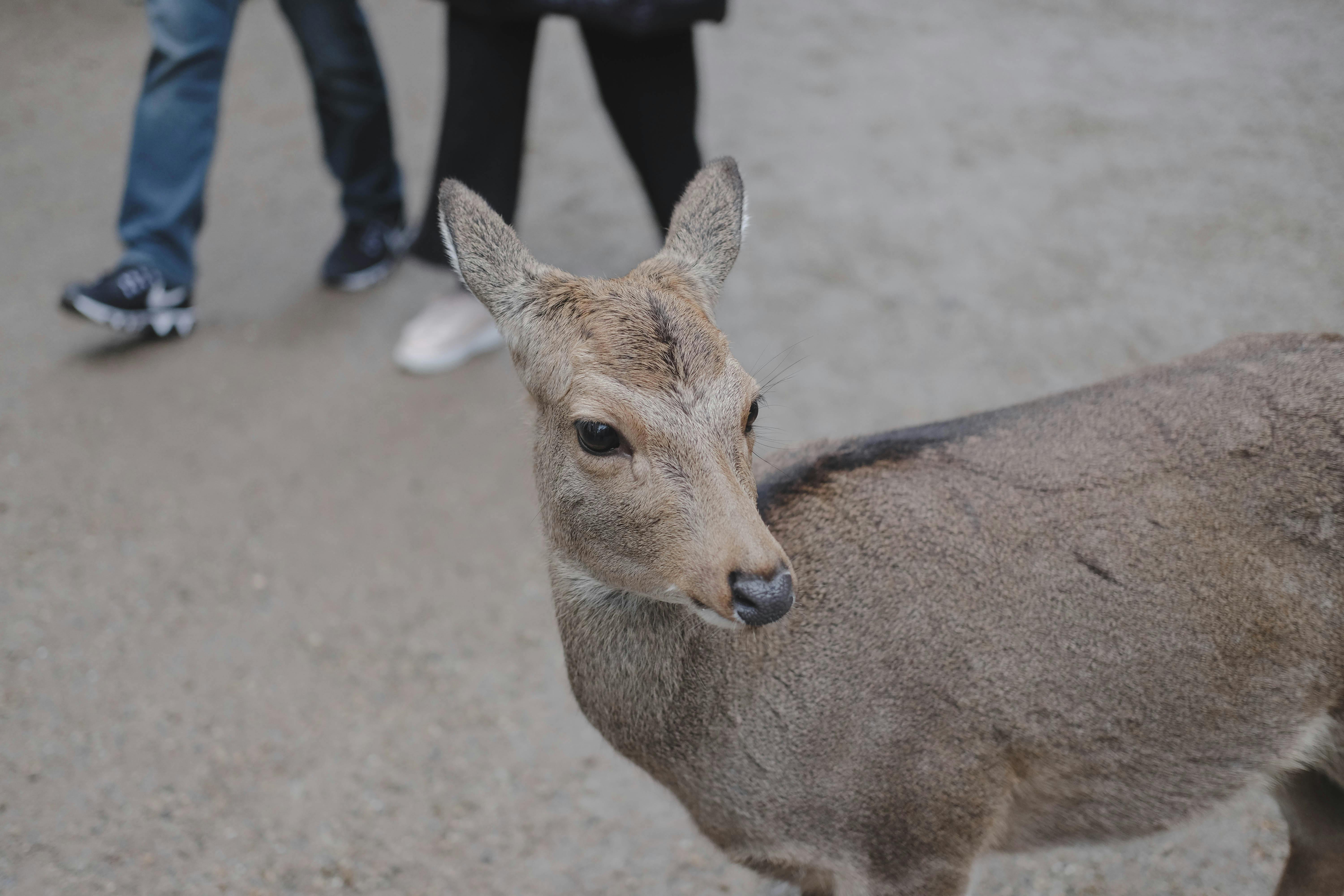 Pathama Koon - Photography