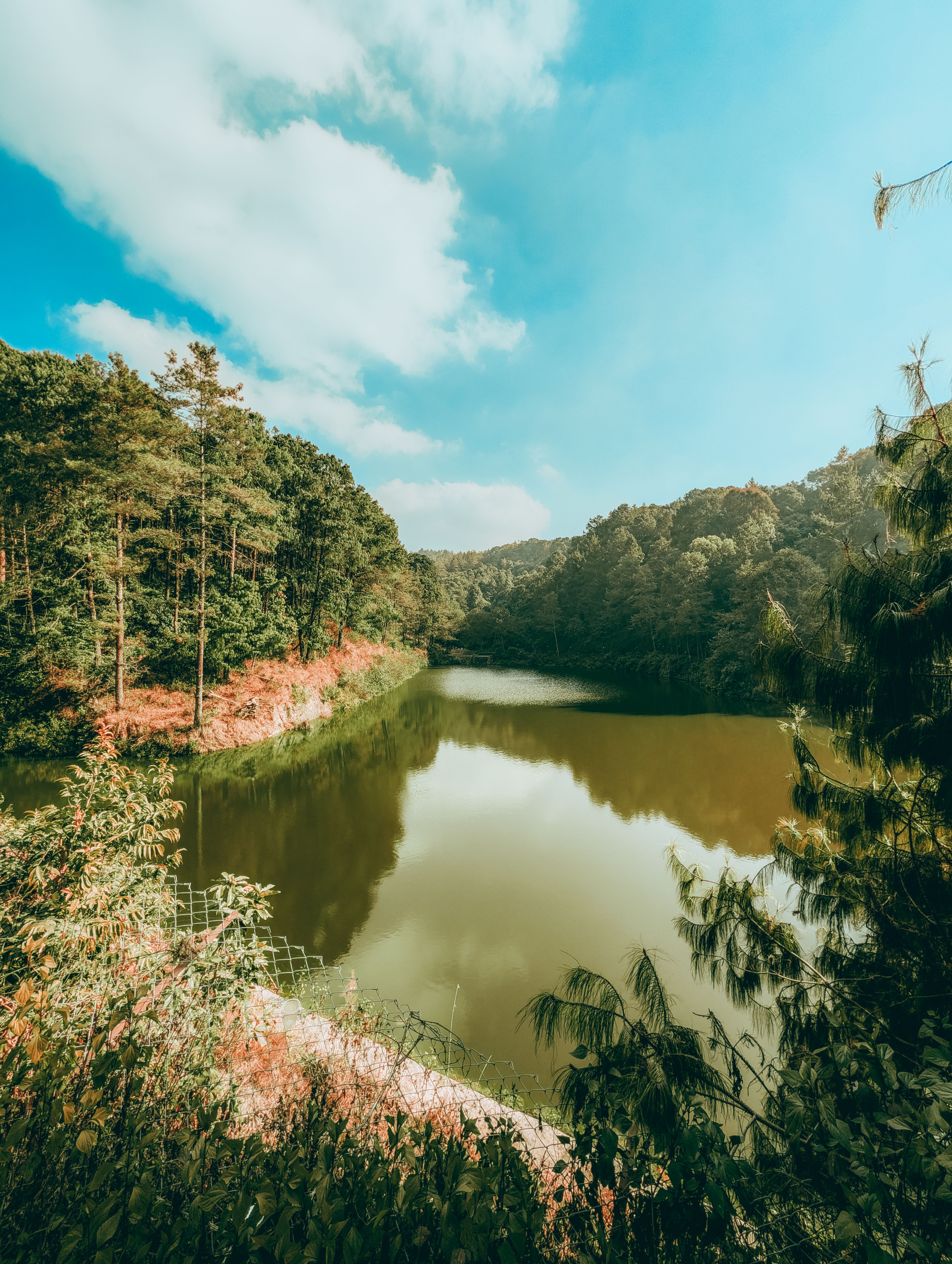 Tranquil Lake surrounded by Lush Greenery in Nepal · Free Stock Photo