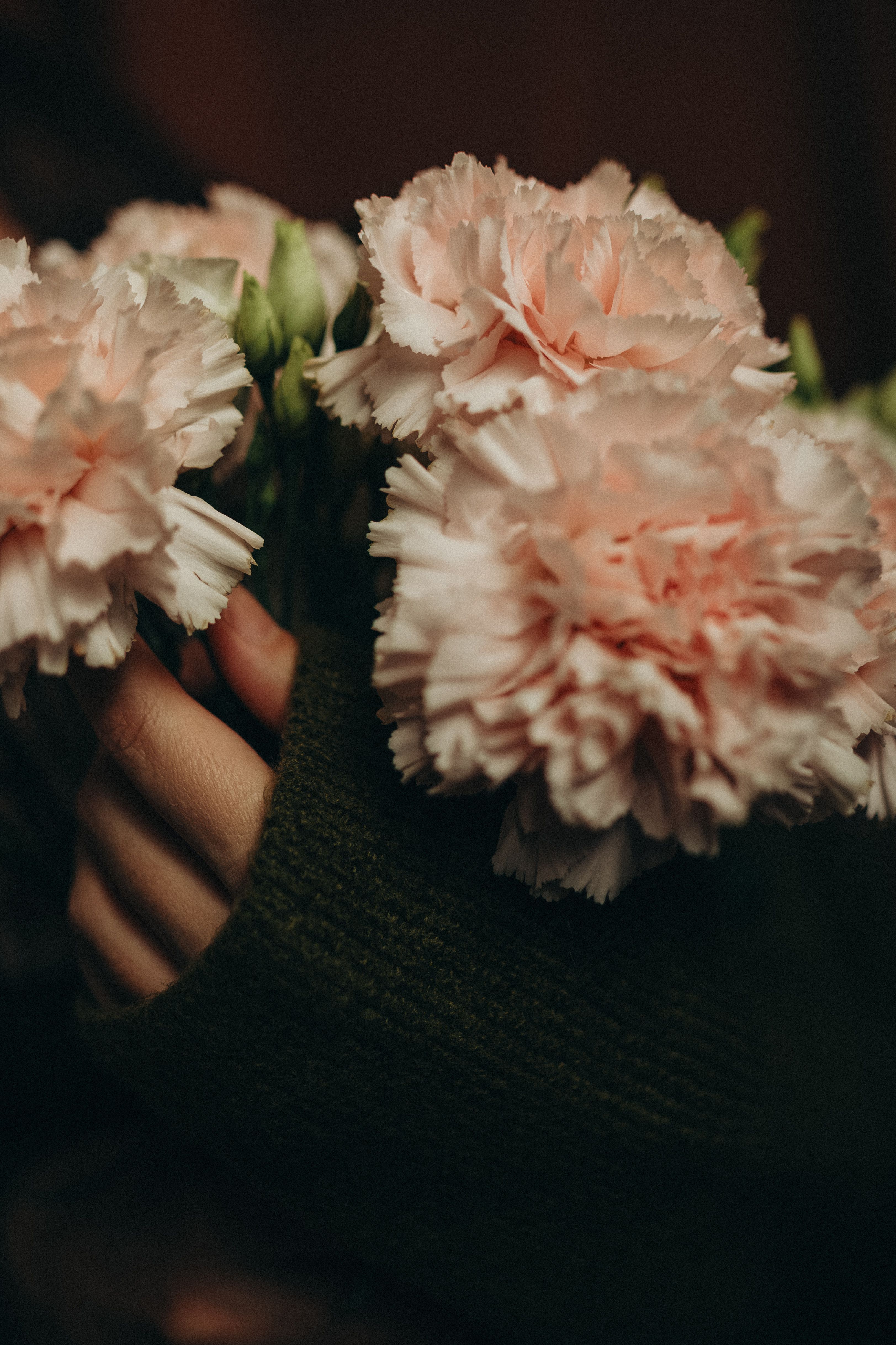 Aesthetic Flowers For Pfp Photos, Download The BEST Free Aesthetic ...
