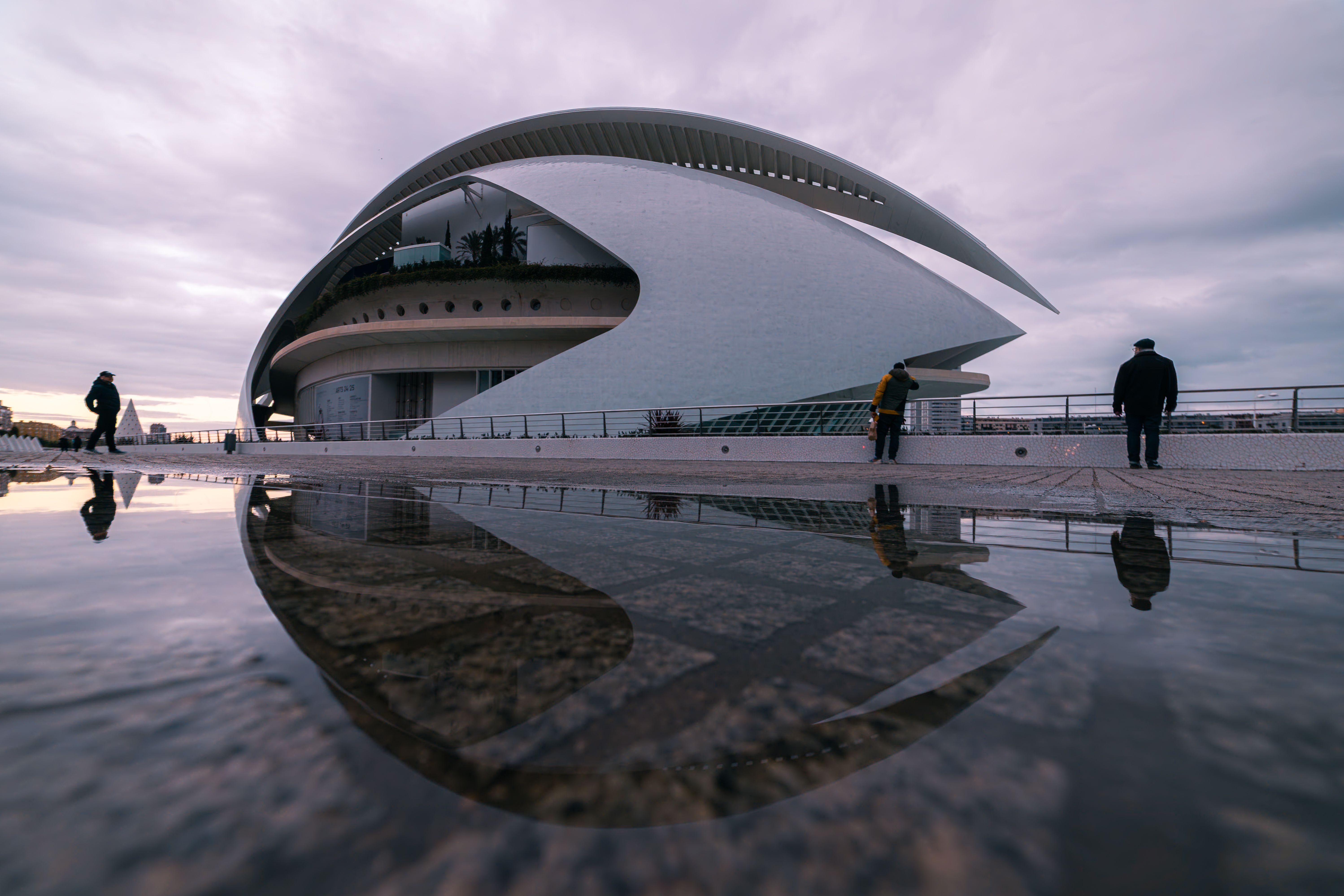 Alejandro De Roa - 写真