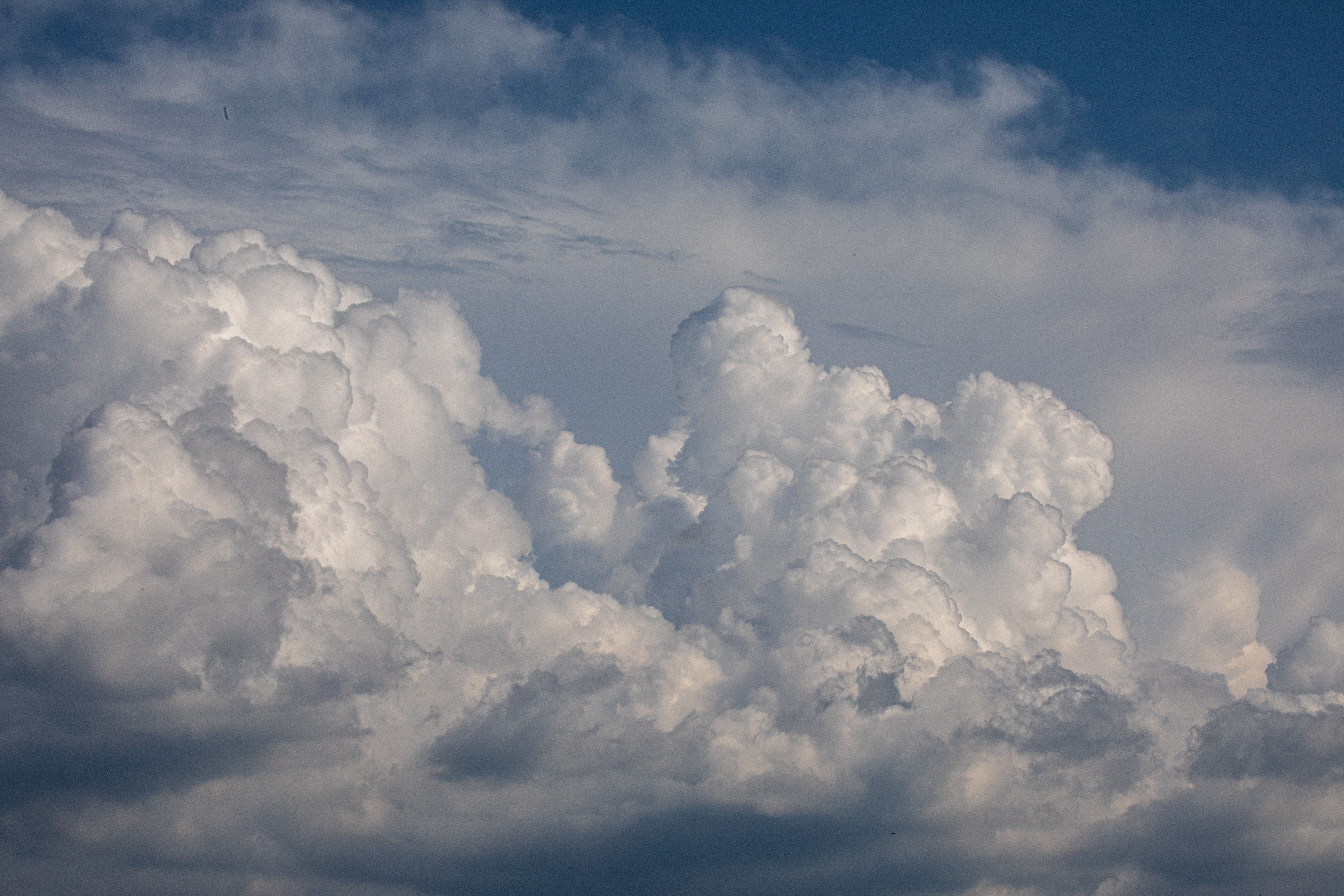Cumulus Clouds · Free Stock Photo