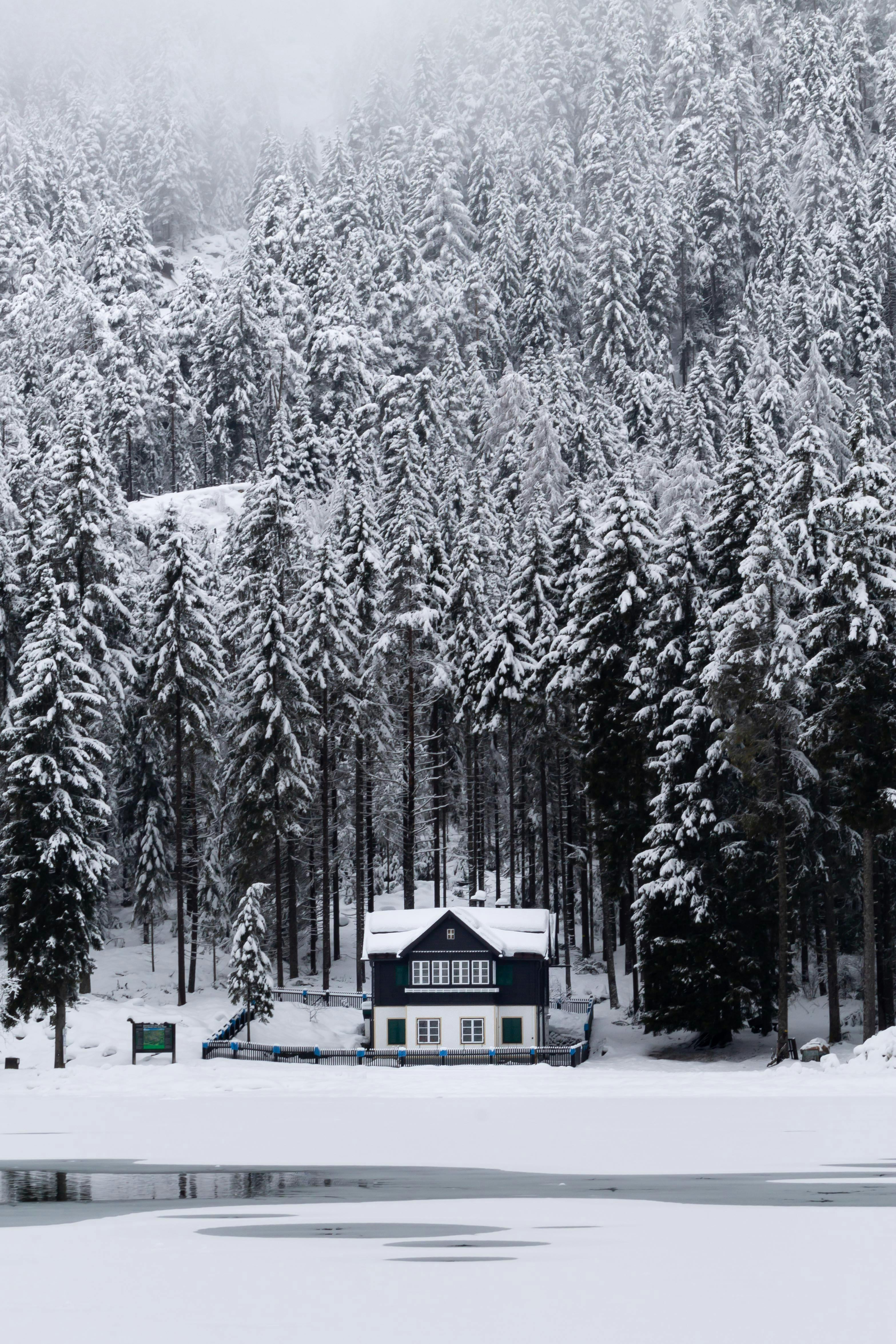 2,000+ Best Snowstorm Photos · 100% Free Download · Pexels Stock Photos