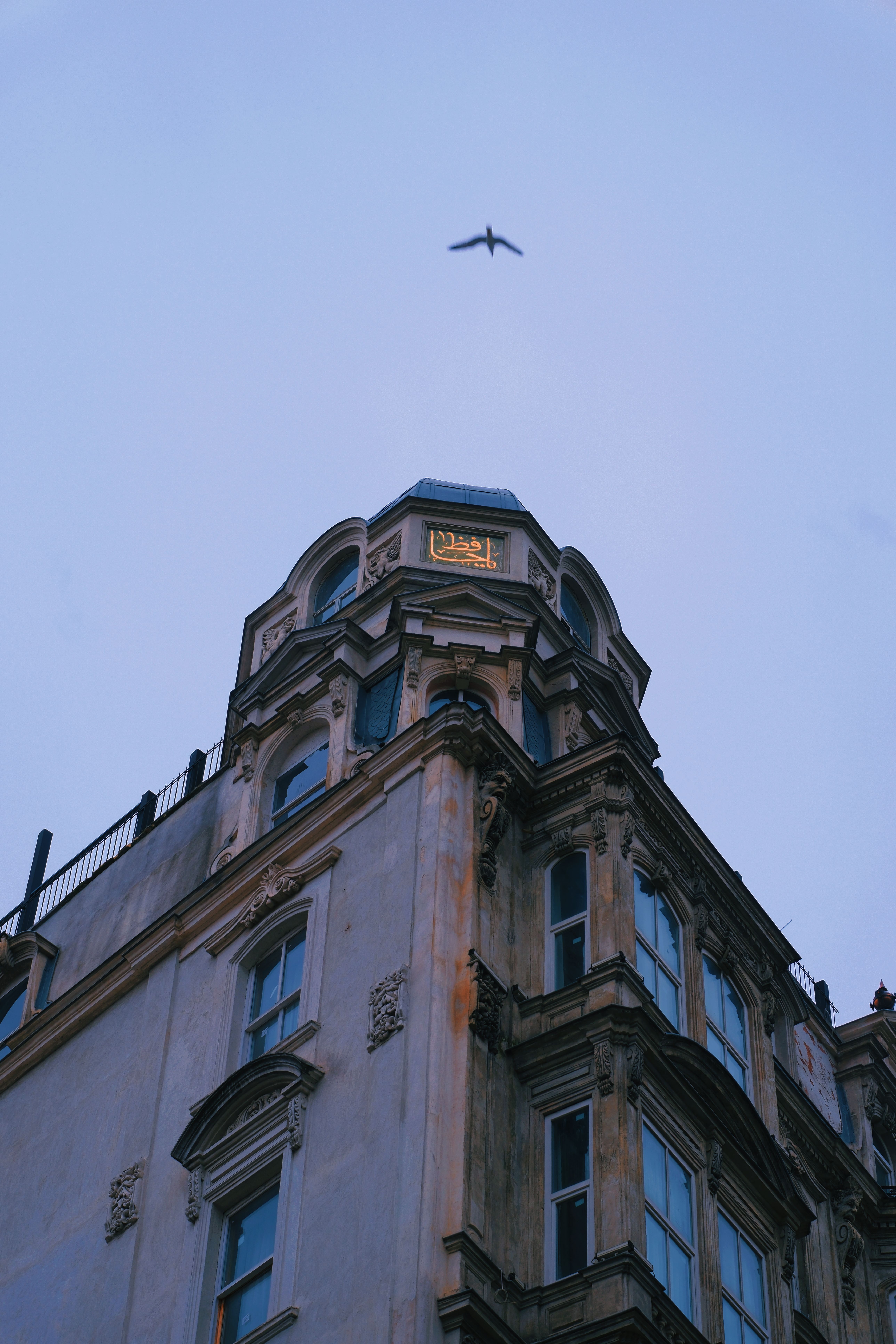 Historic Building with Bird in Flight · Free Stock Photo