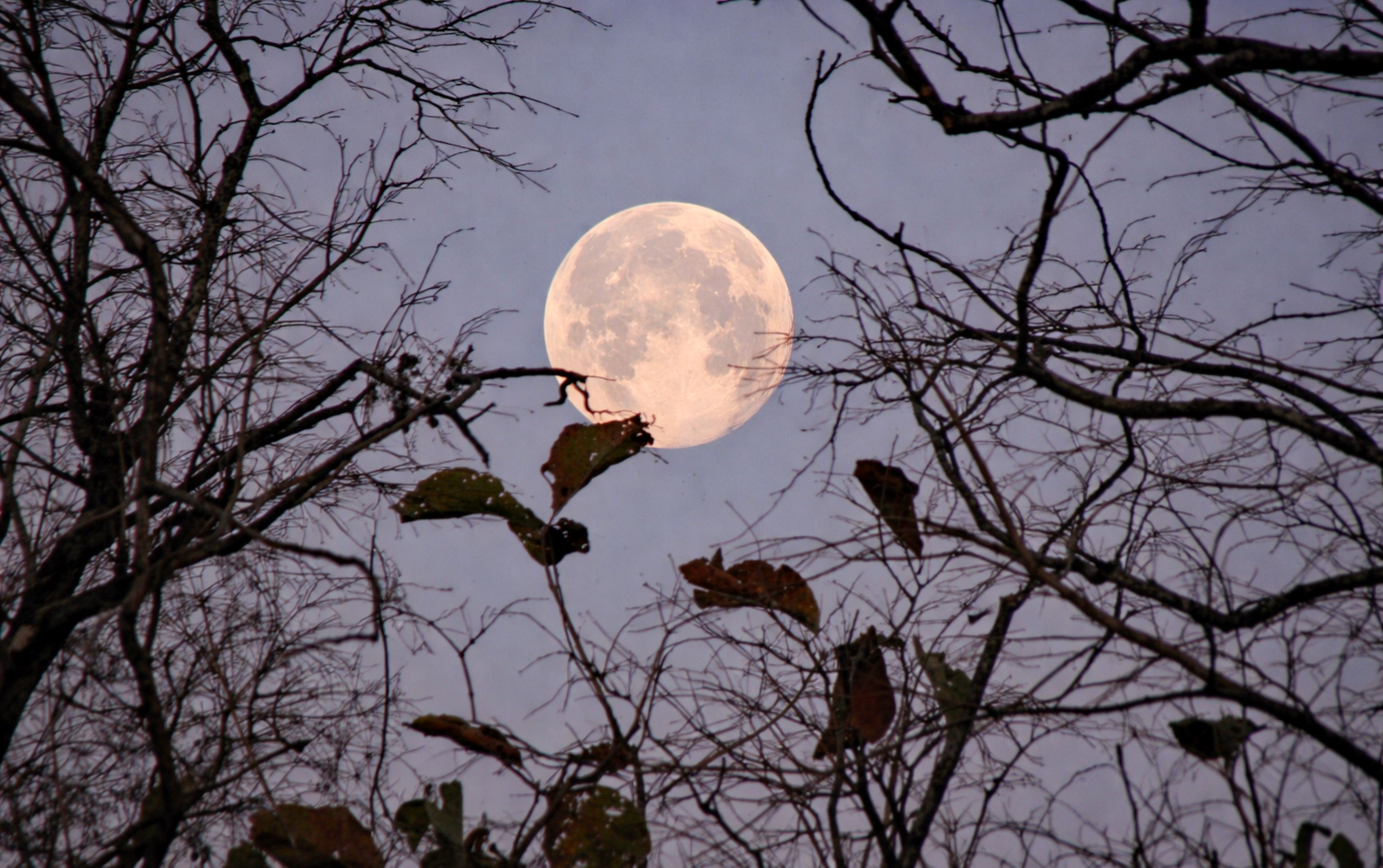 Moon Outline Photos, Download The BEST Free Moon Outline Stock Photos ...