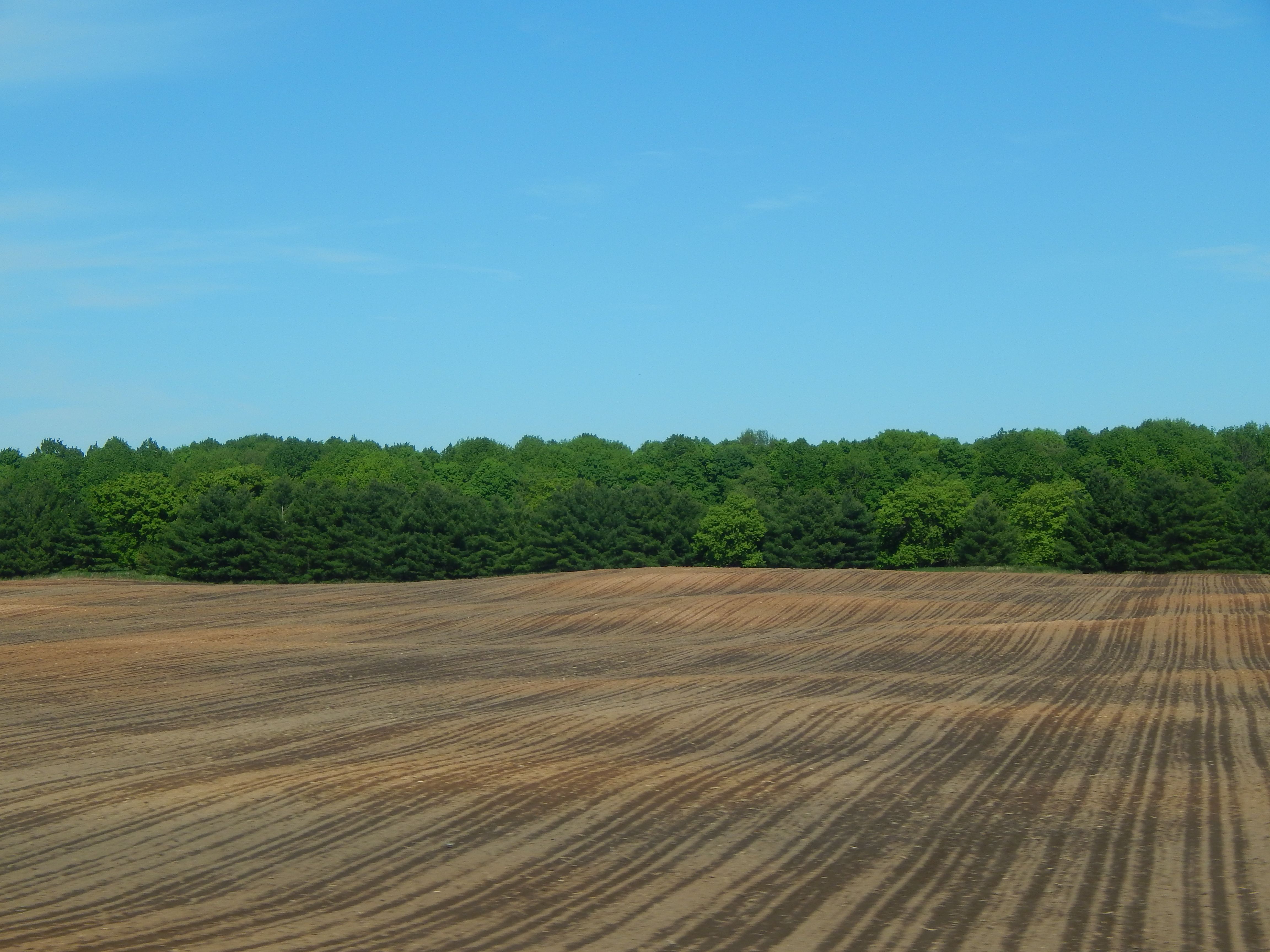 Empty Land Photos, Download The BEST Free Empty Land Stock Photos & HD ...