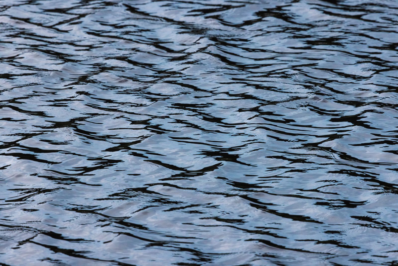 Water Ripples Photos, Download The BEST Free Water Ripples Stock Photos ...