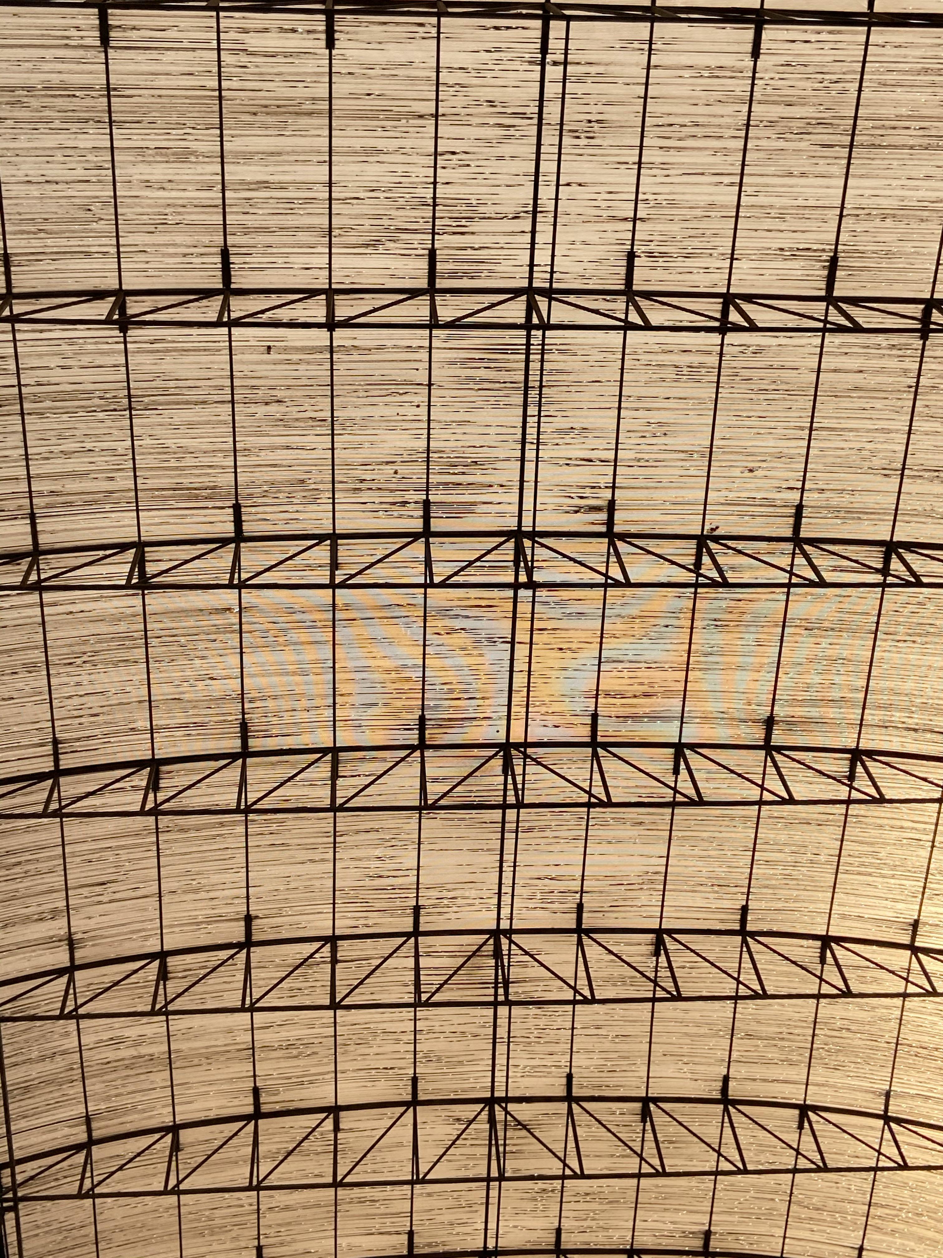 Mohit Tandon - Fotografía