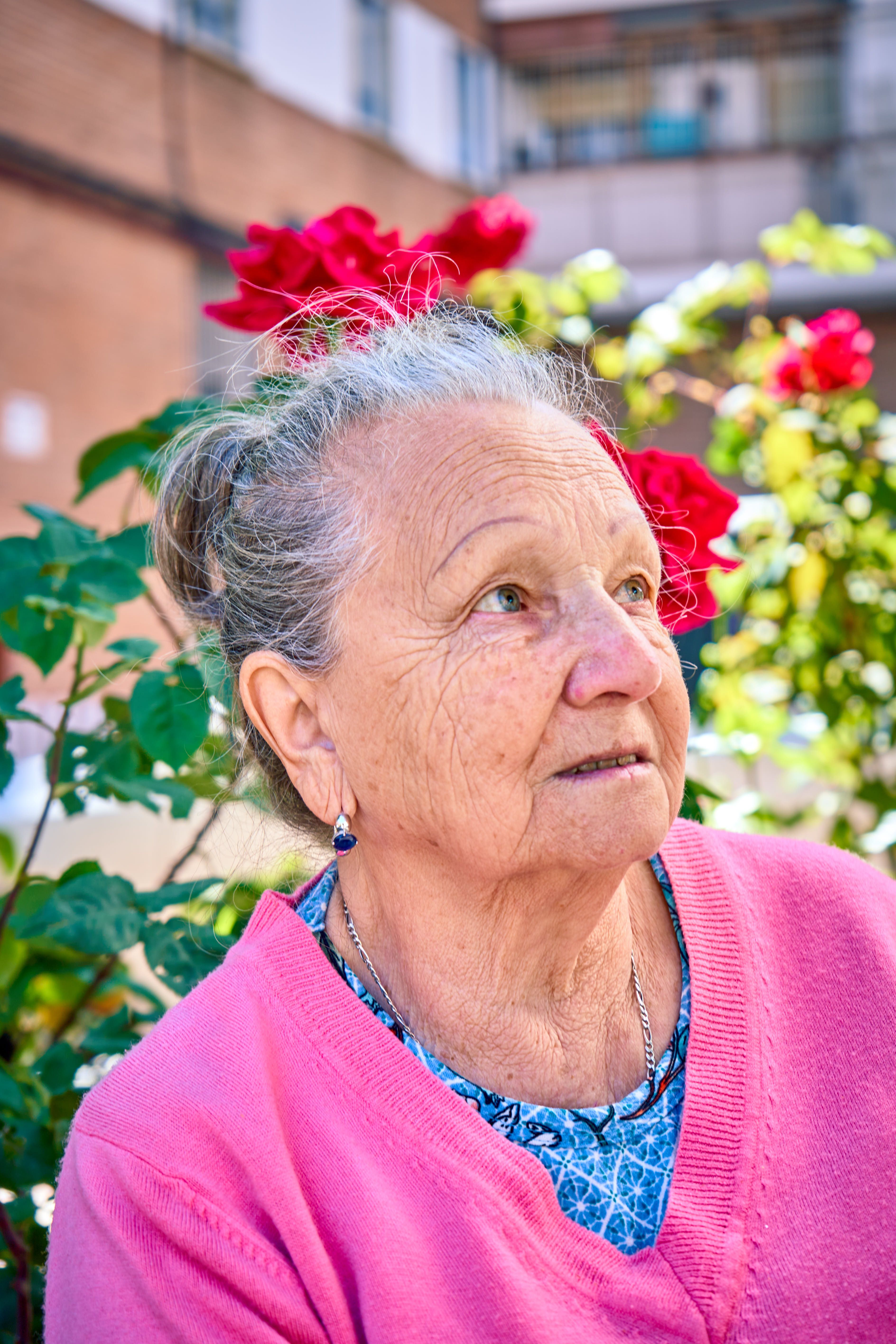 Grandma And Grandmother Photos, Download The BEST Free Grandma And ...