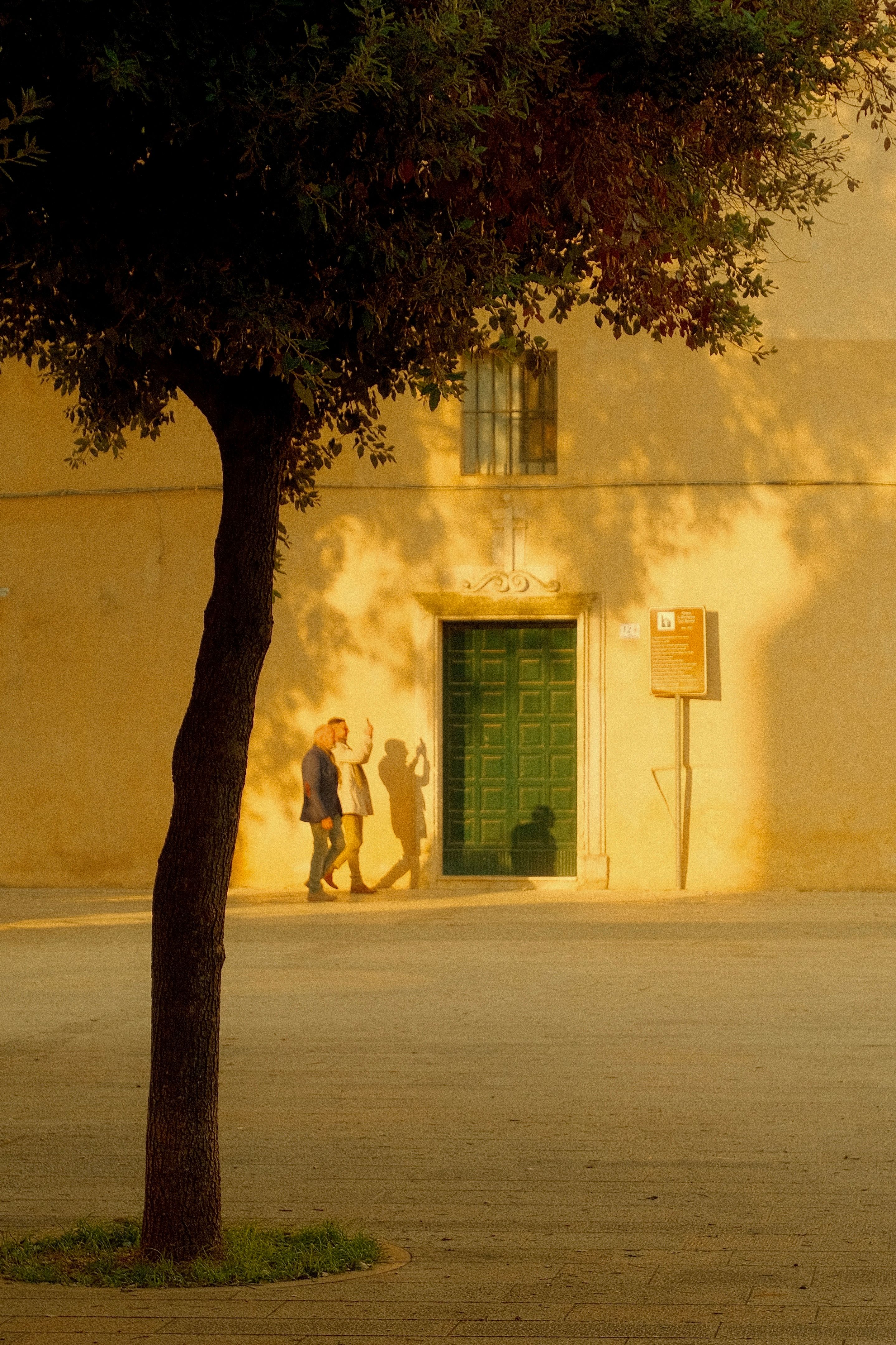 Warm Sunset Shadows on a Street with Tree and Door · Free Stock Photo