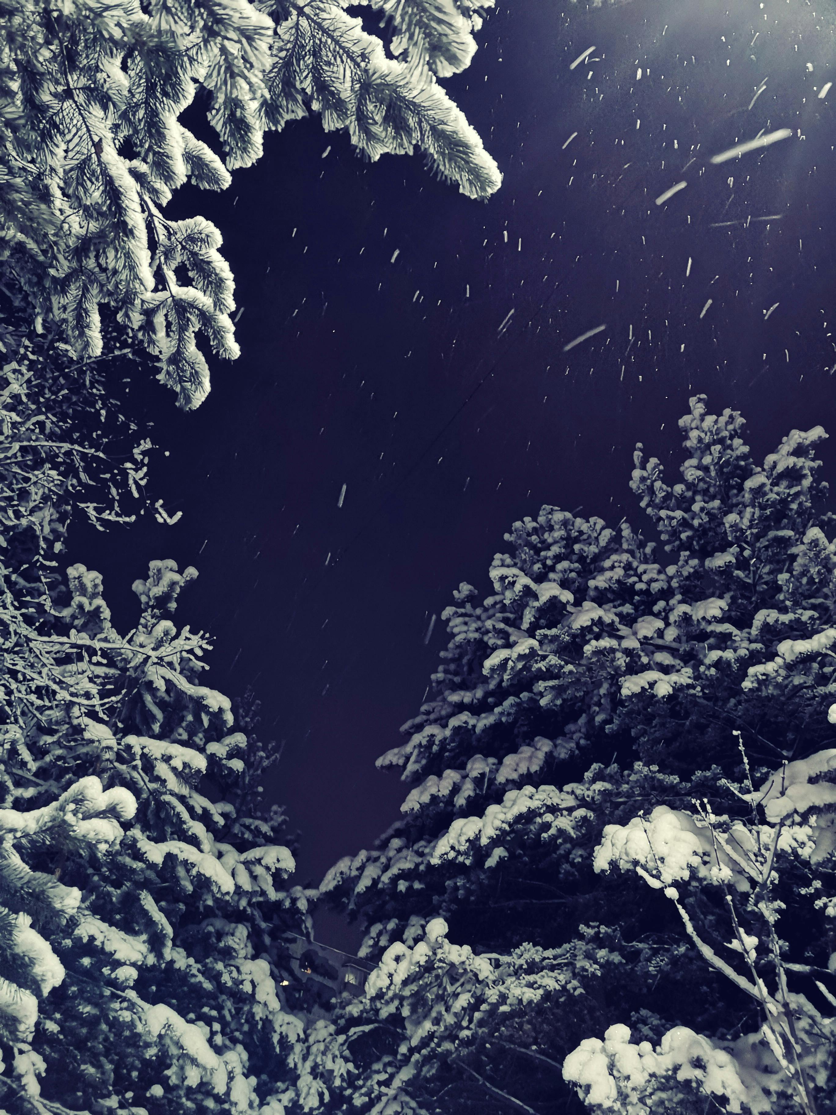 Snowfall At Night Photos, Download The BEST Free Snowfall At Night ...