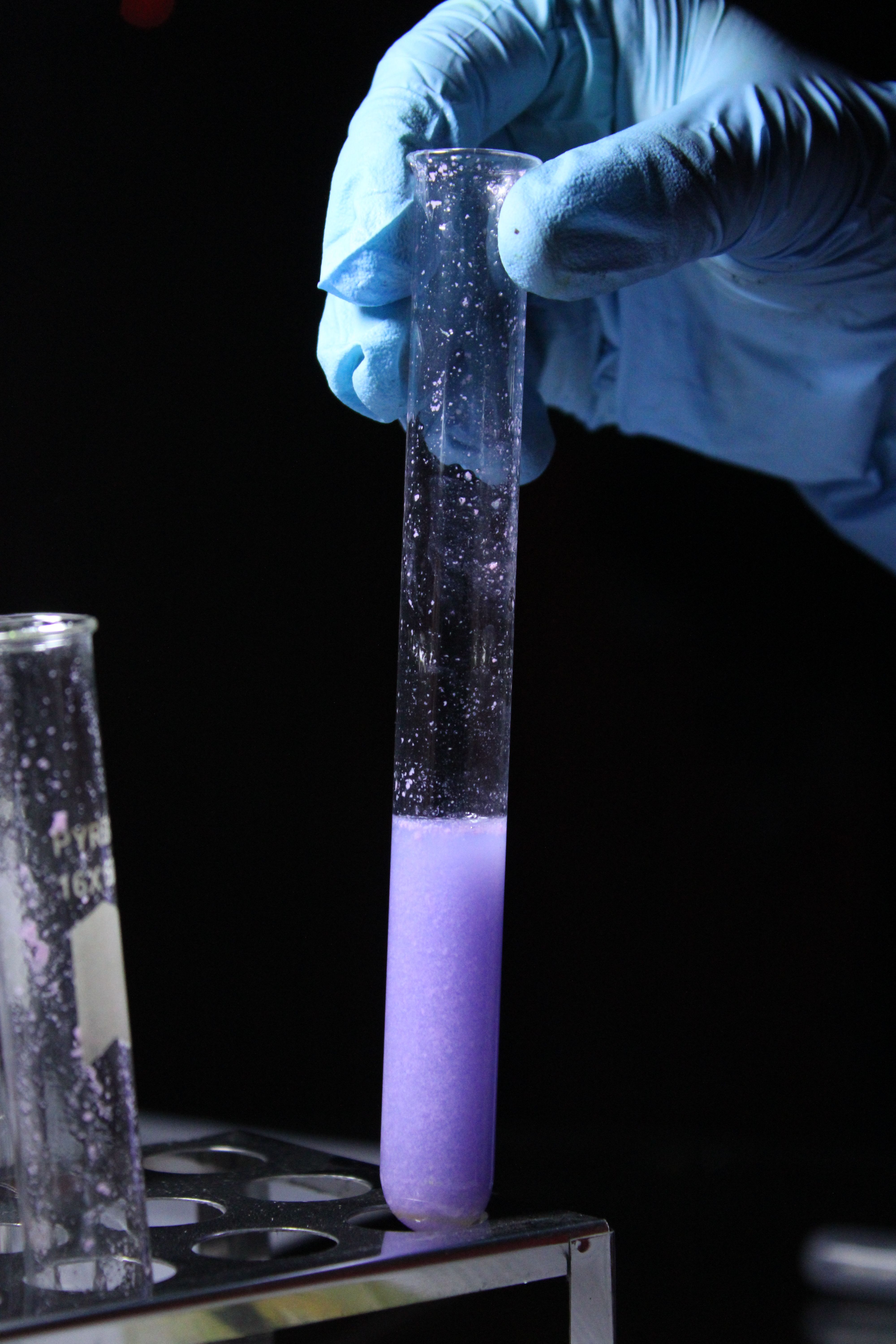Scientist Holding Test Tube with Purple Substance · Free Stock Photo