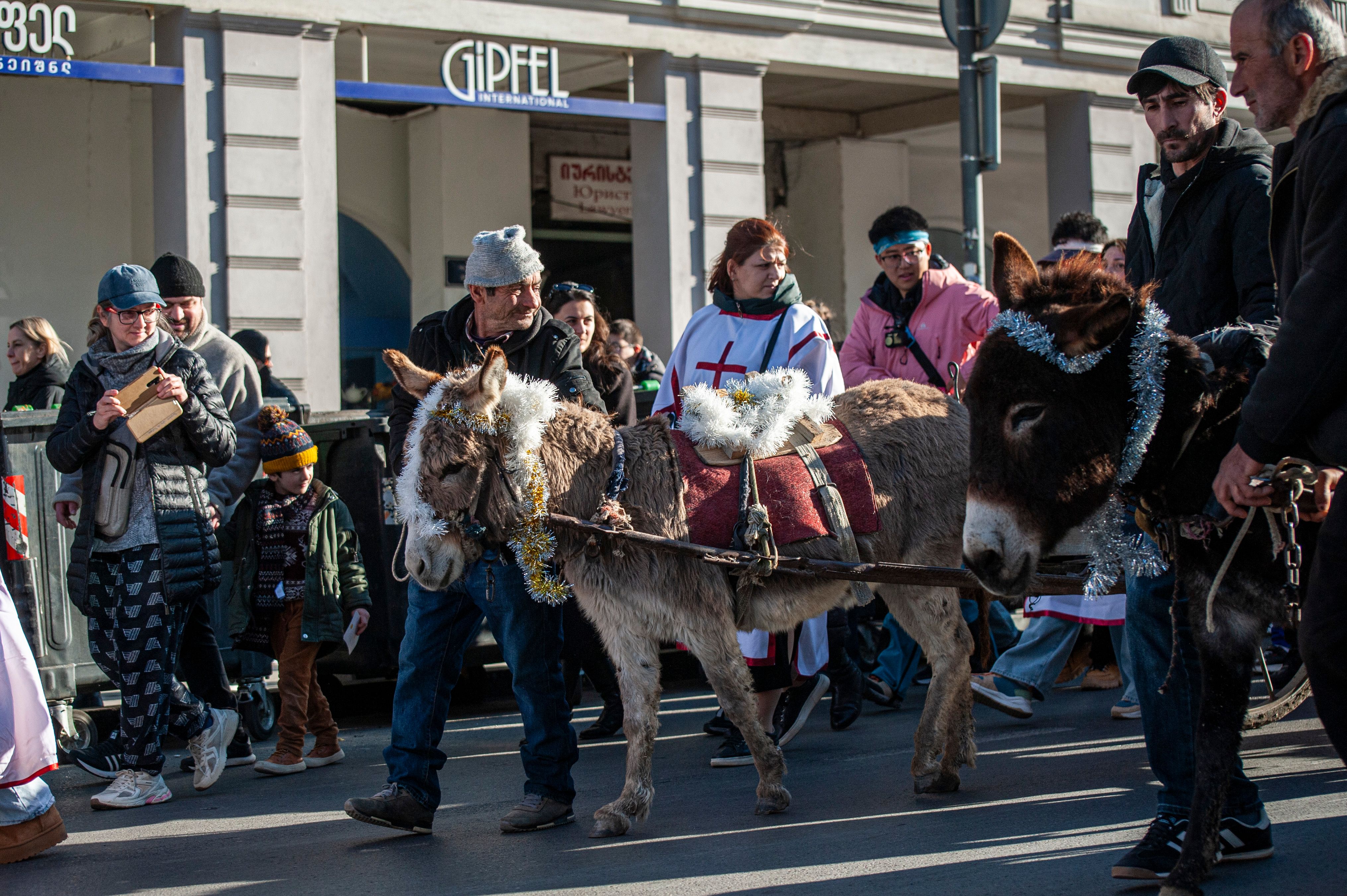 Festive Parade with Decorated Donkeys in Georgia · Free Stock Photo