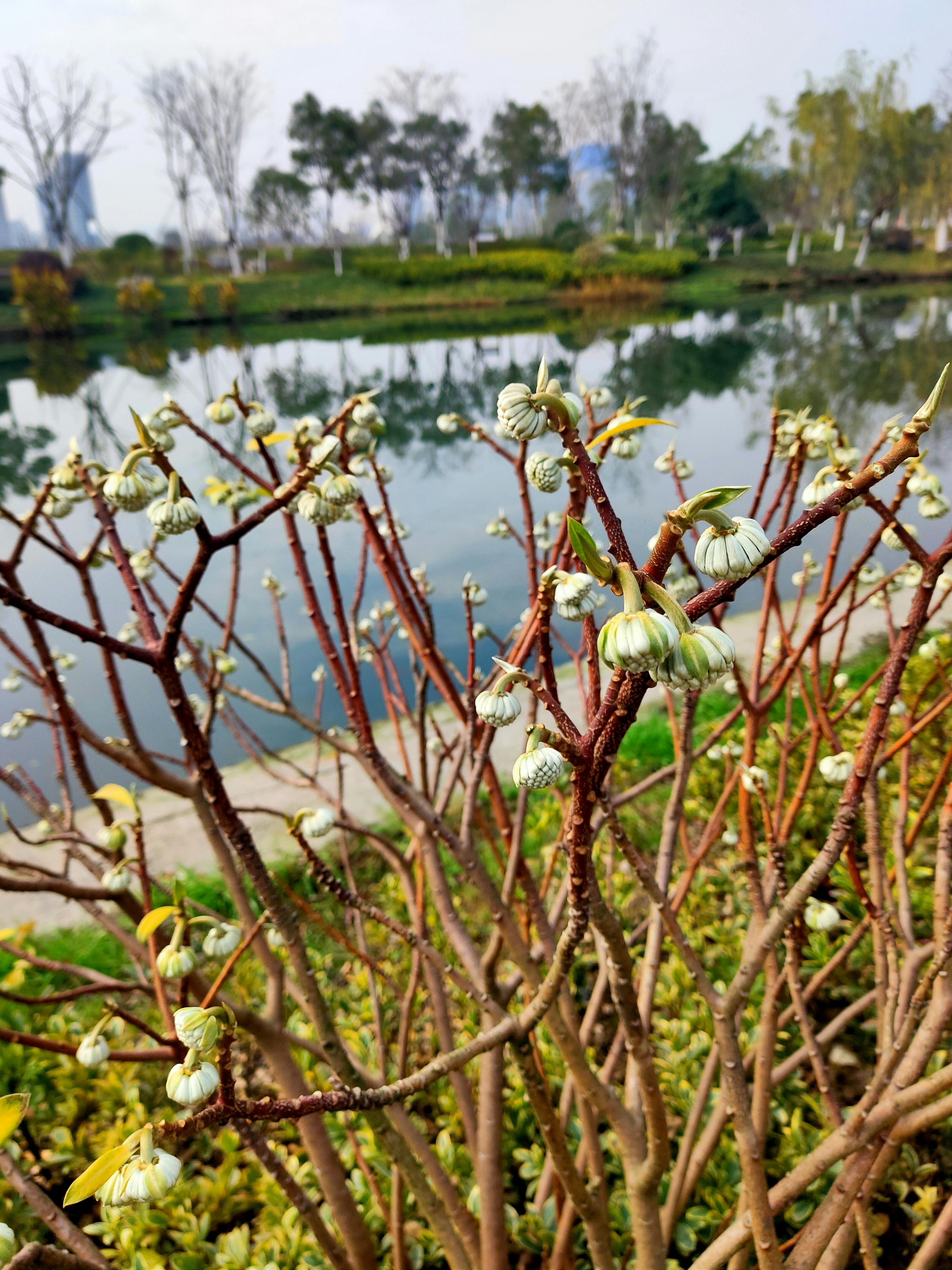 Jason Jansen - Fotografía