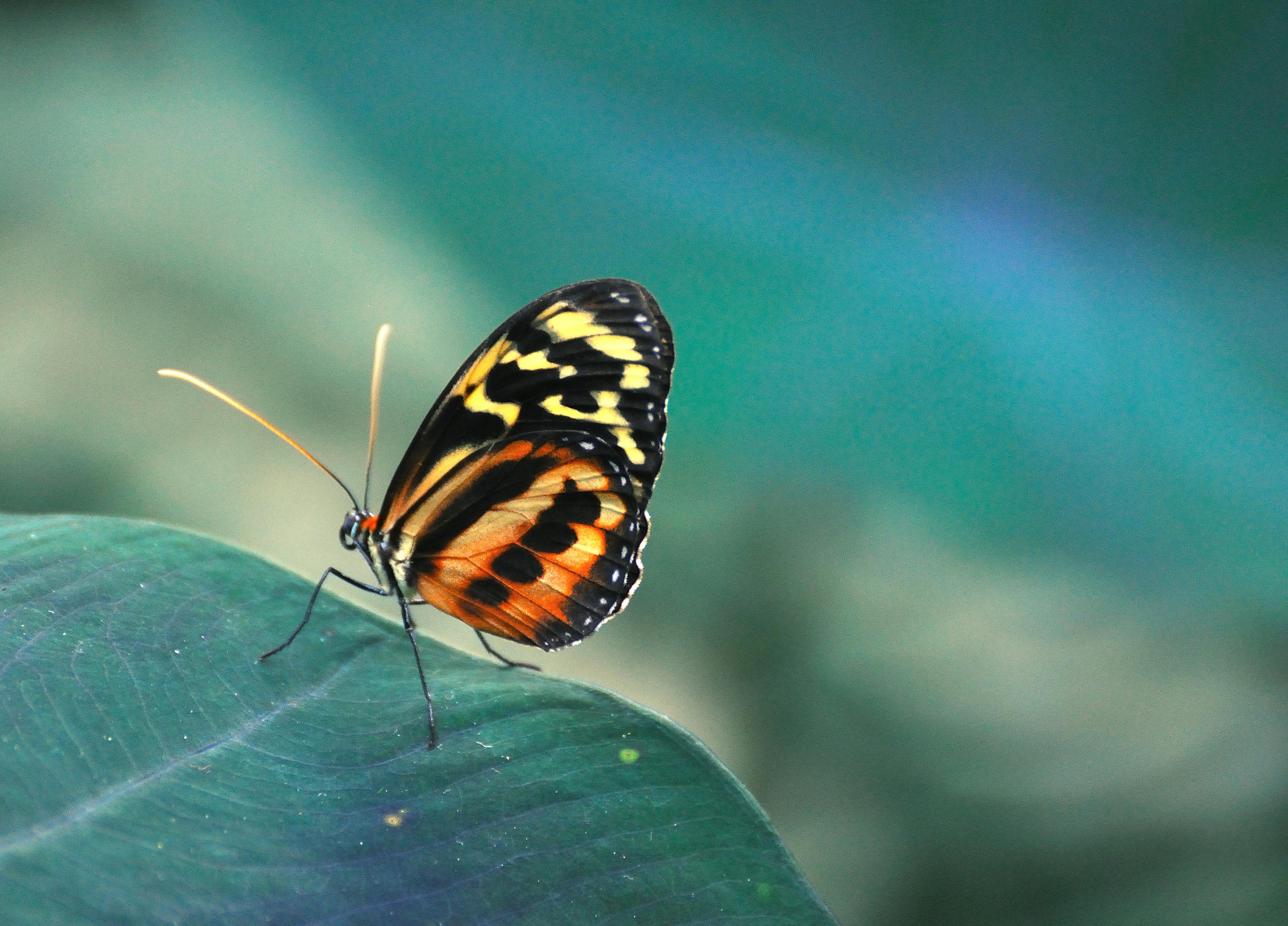 Free stock photo of bolt, nut, nuts and bolts