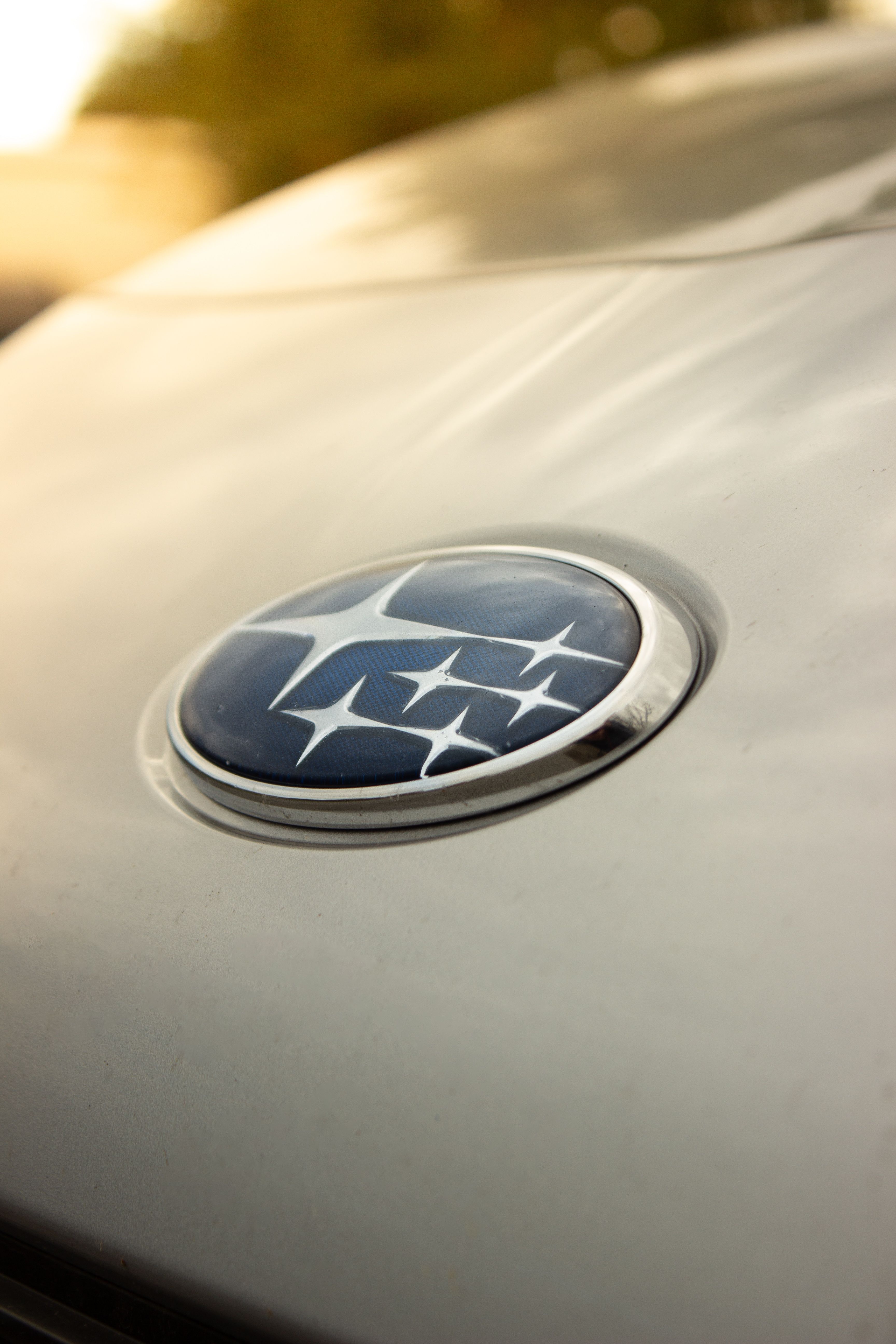 Ctevt Logo Photos, Download The BEST Free Ctevt Logo Stock Photos & HD ...
