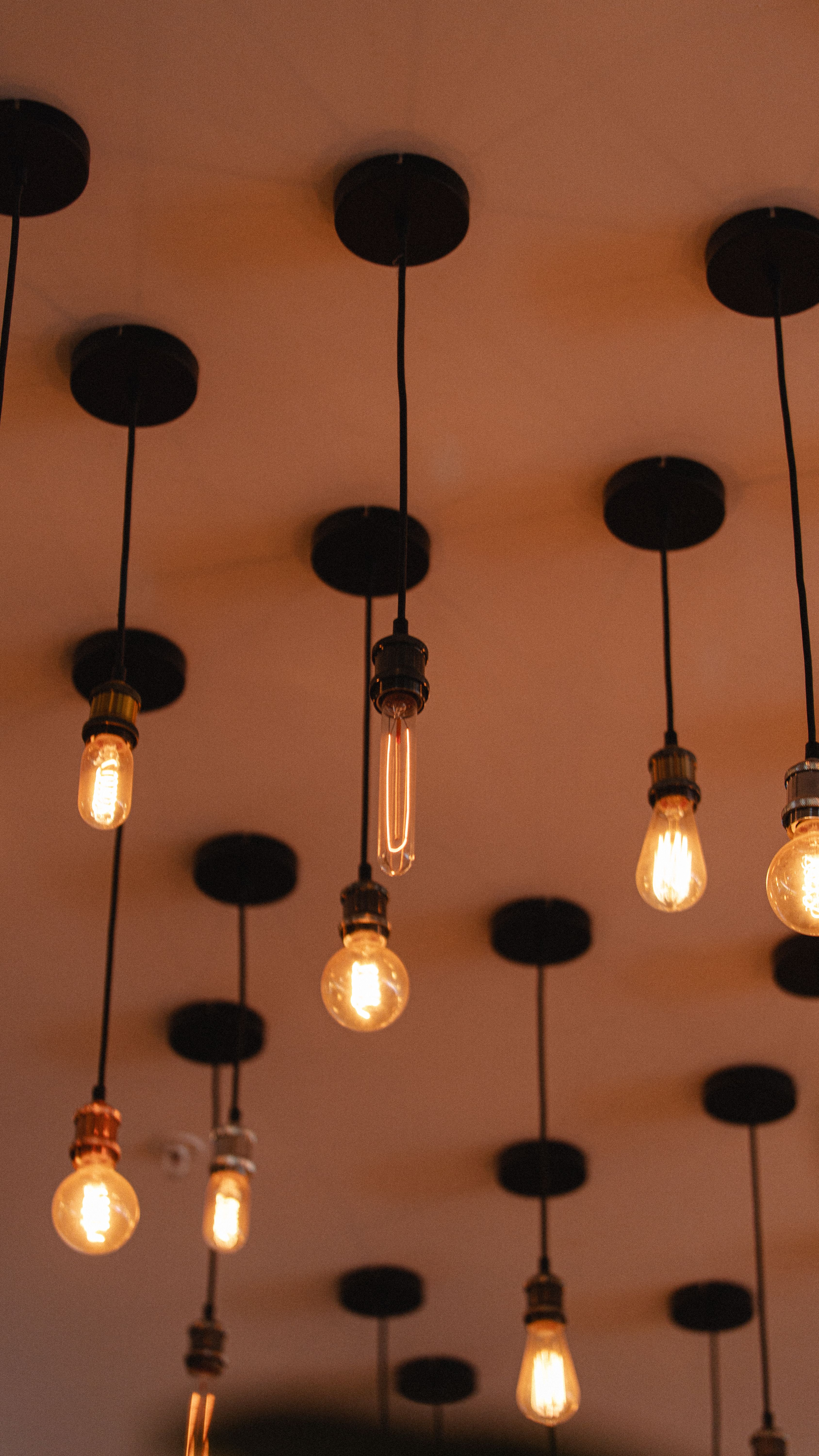 Chic Indoor Ceiling with Decorative Hanging Bulbs · Free Stock Photo